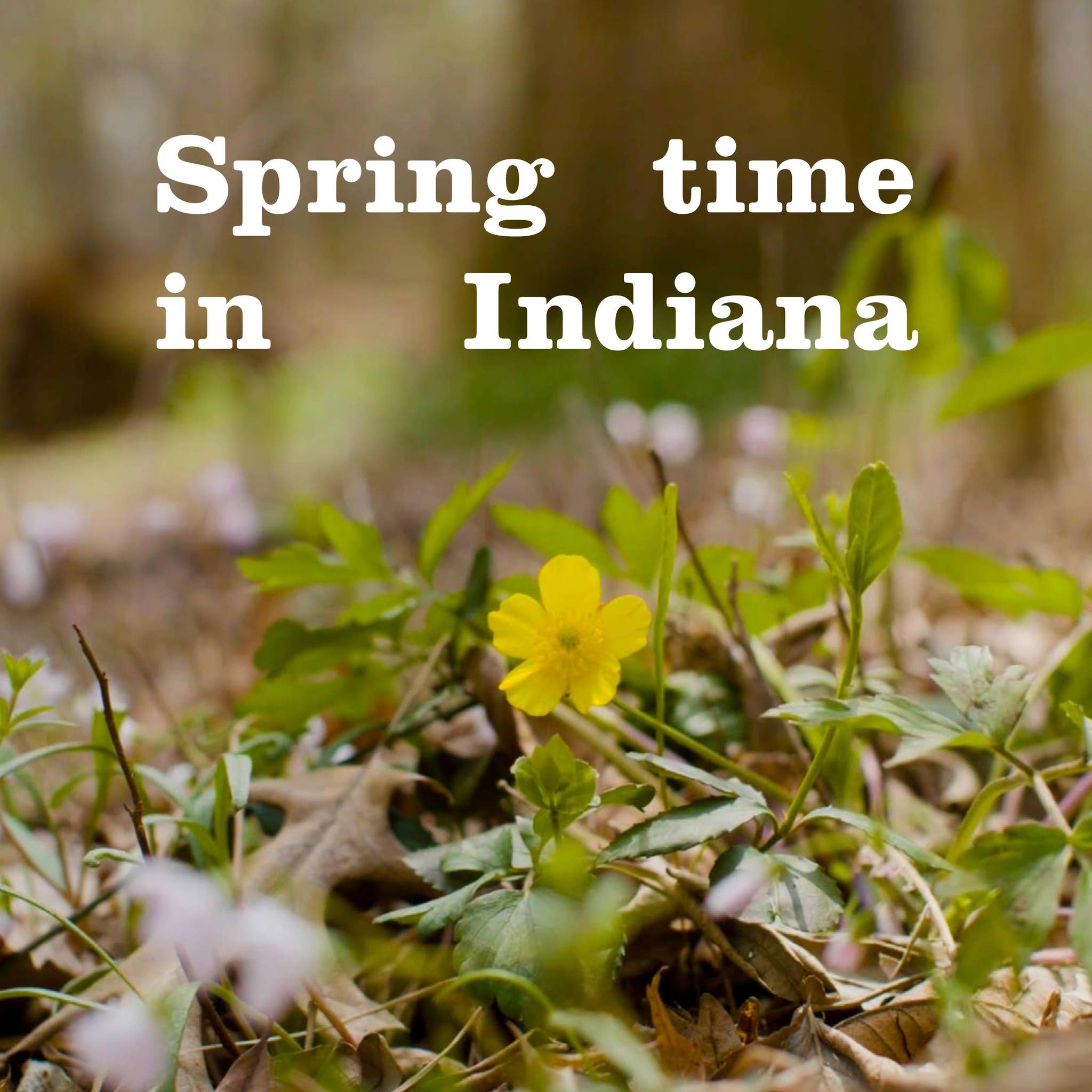 Springtime in Indiana by indianahumanities - Issuu