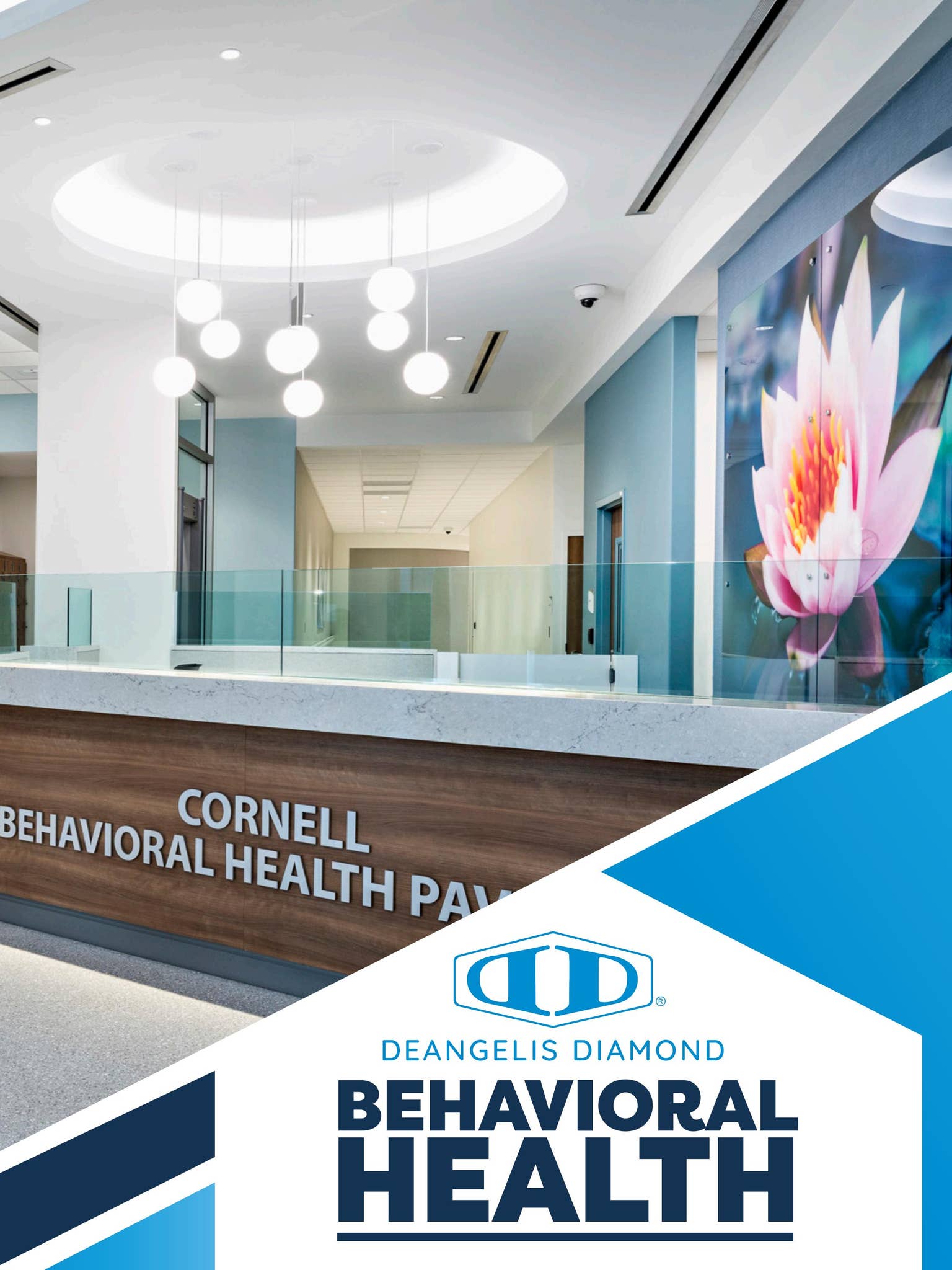 DD Behavioral Health by DeAngelis Diamond - Issuu