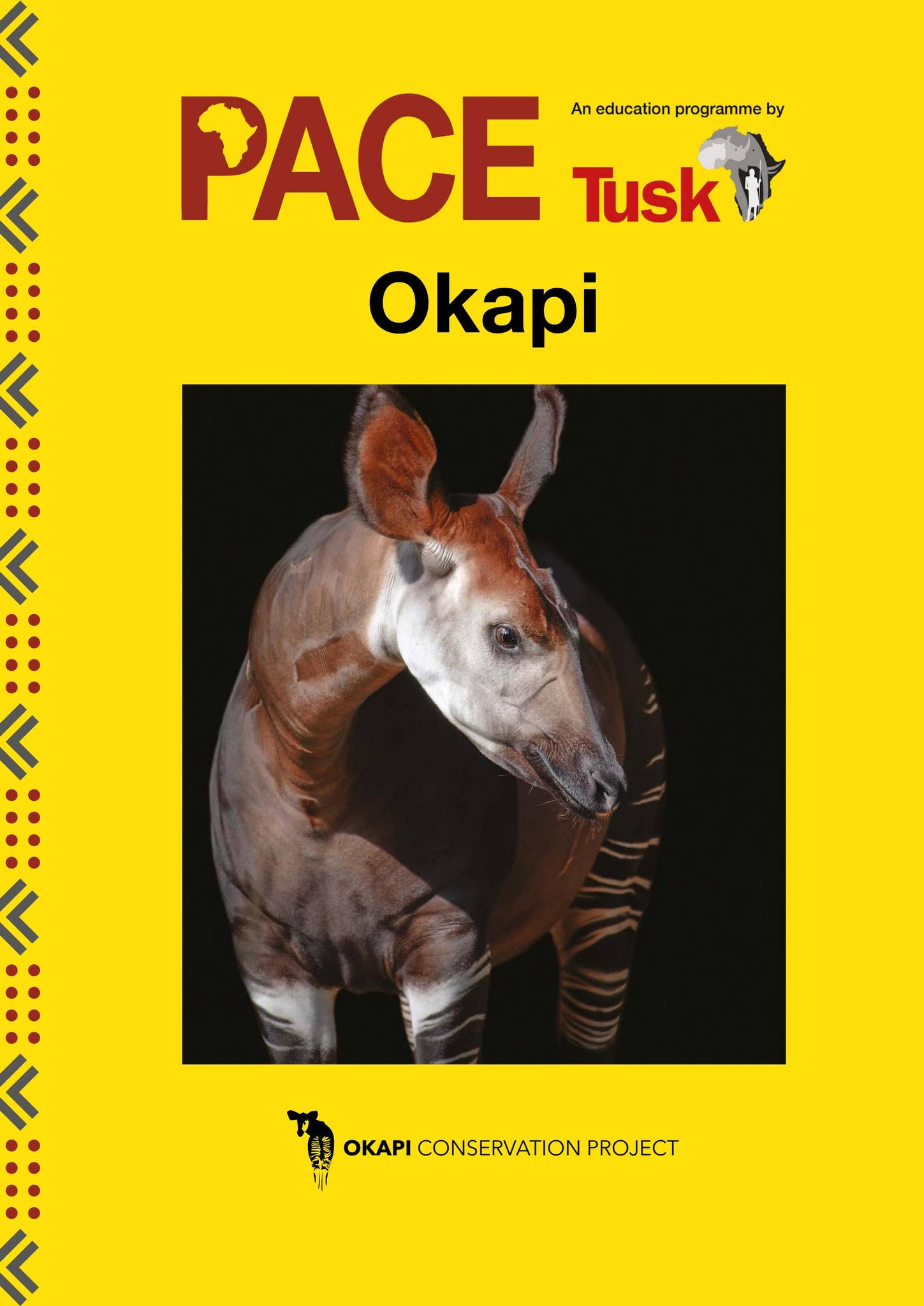 Pace - Okapi Booklet by Tusk Trust - Issuu