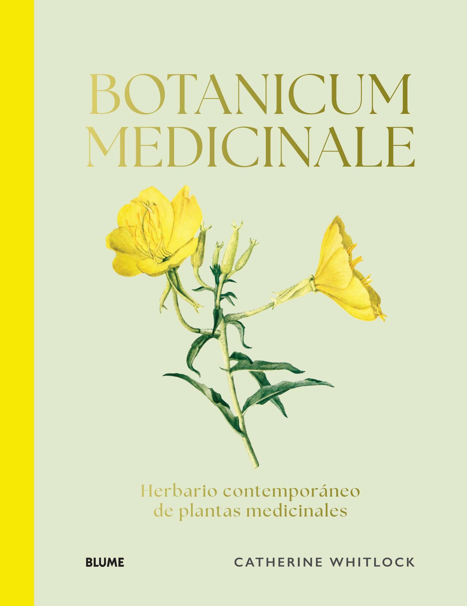 Botanicum Medicinale by Editorial Blume - Issuu