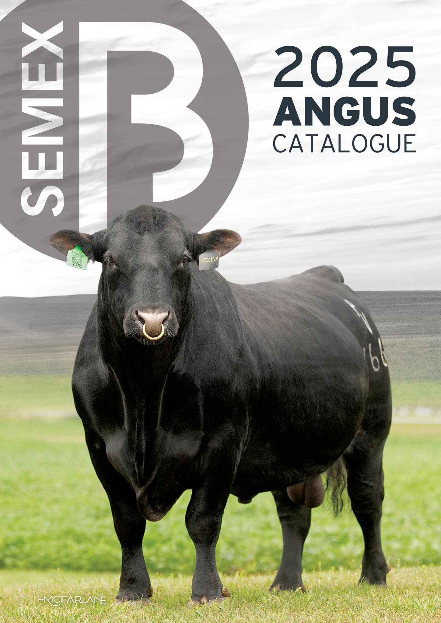 Semex - Australia 2025 Angus Catalogue by Semex - Issuu