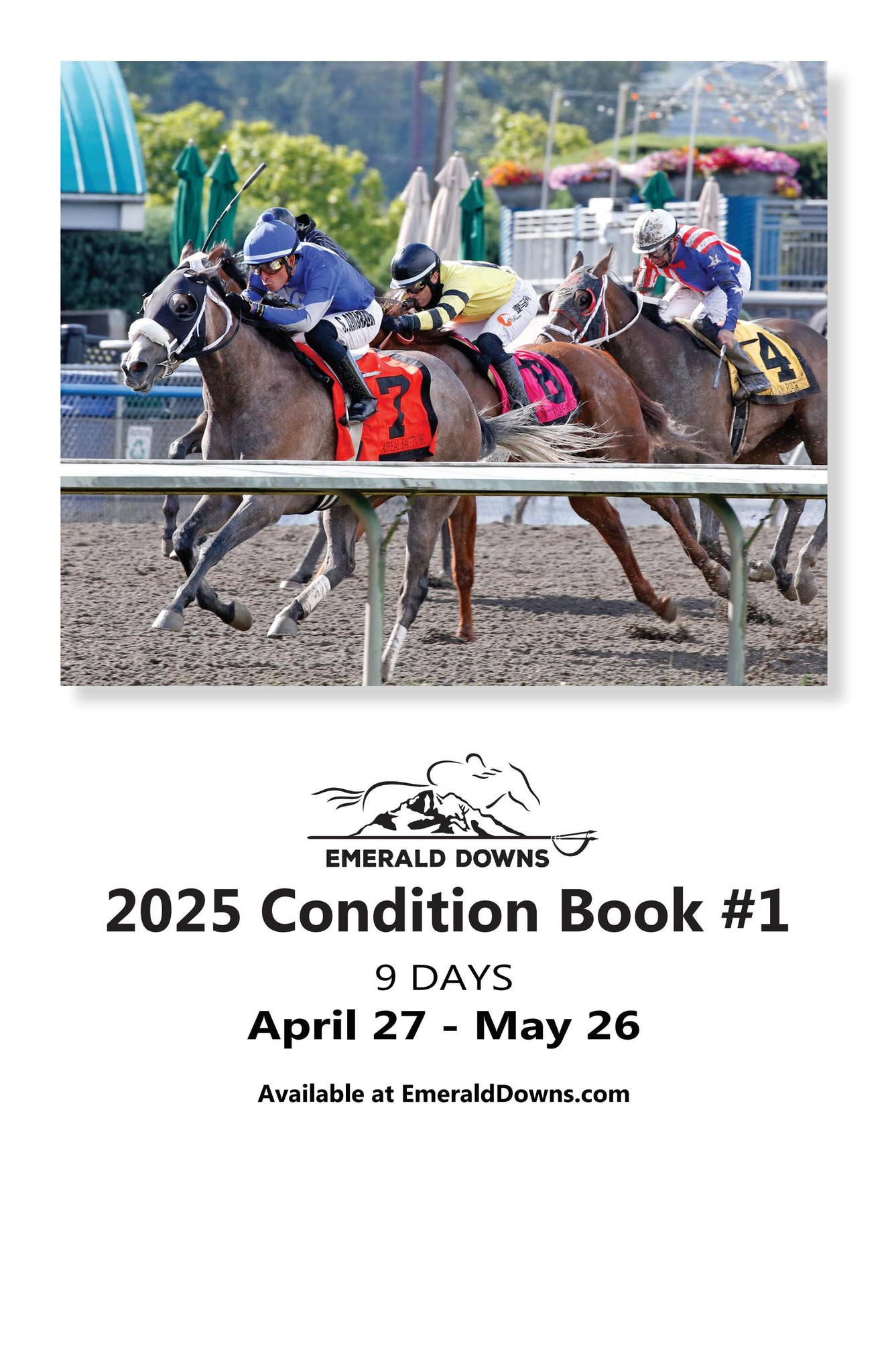 Condition Book 2025-1 Final by racingstatsandinfo.com - Issuu