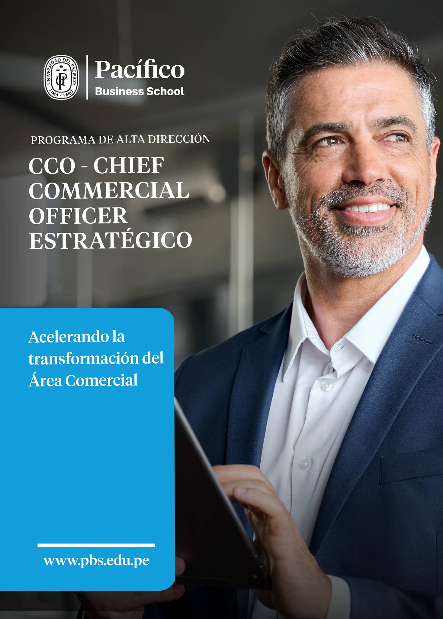 Brochure CCO Chief Comercial Officer 2025 by Escuela de Postgrado de la ...
