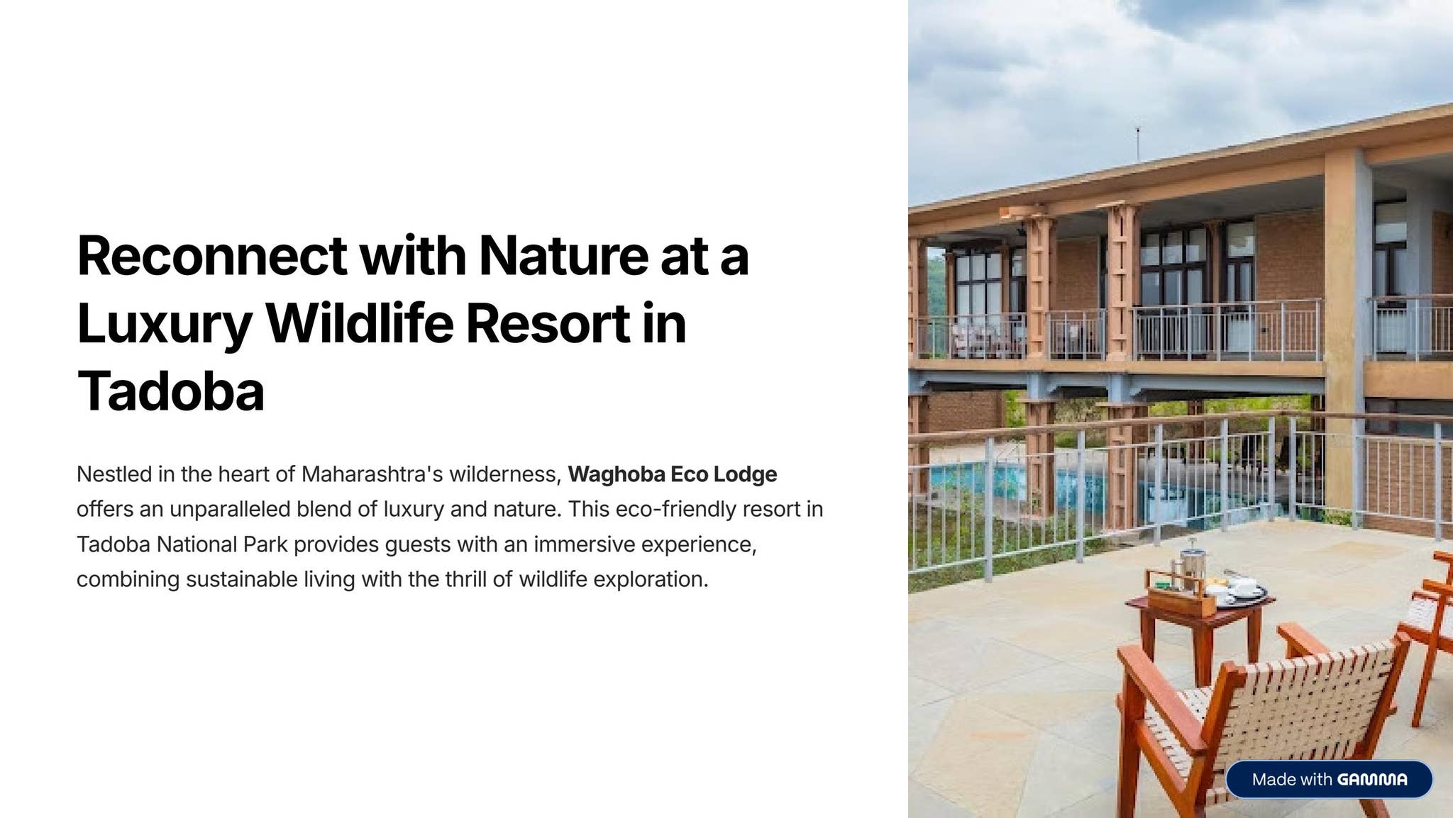 reconnect with nature at a luxury wildlife resort in tadoba by Waghoba ...