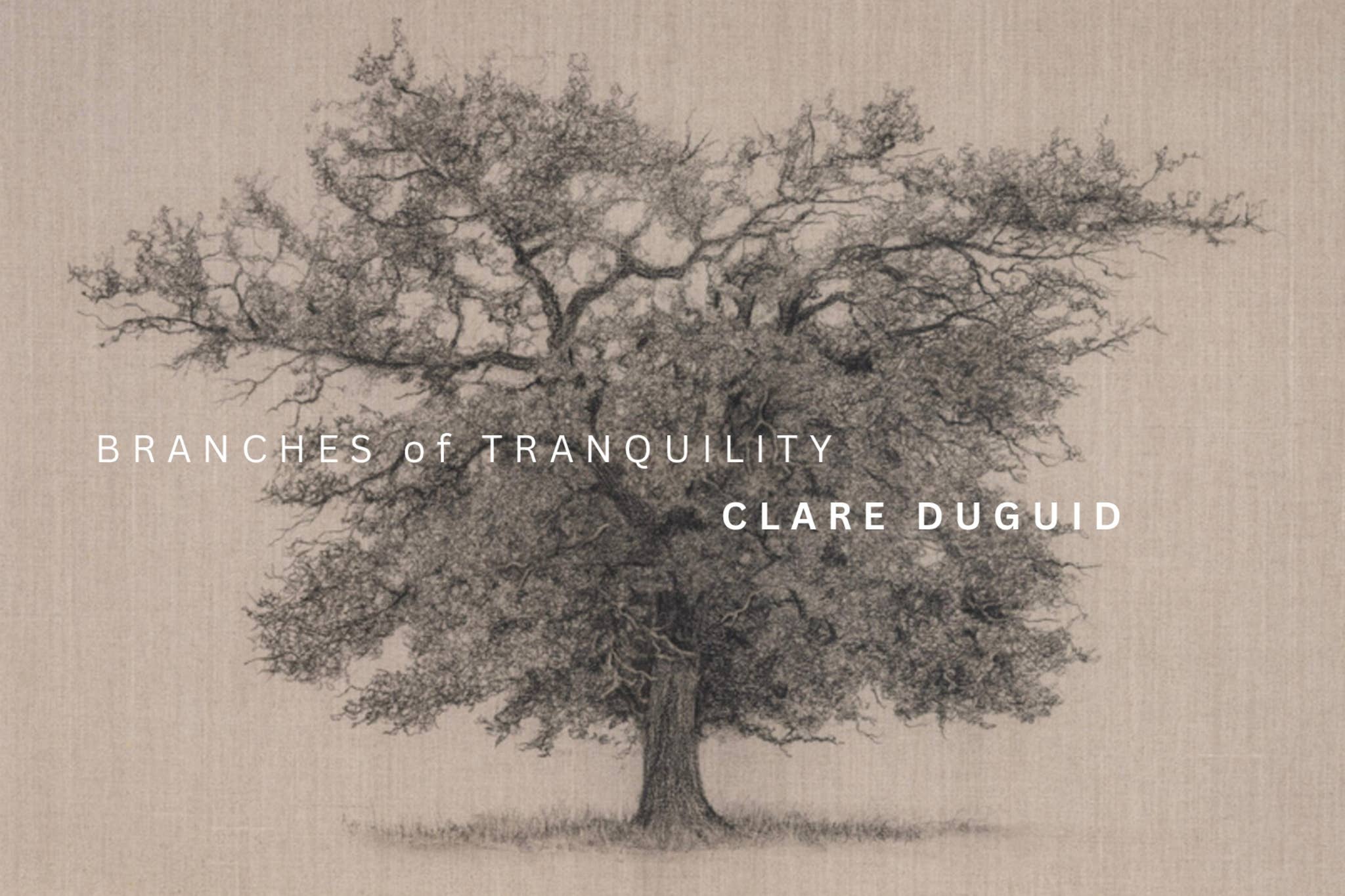 Clare Duguid by Adrian Thompson-Boyce - Issuu