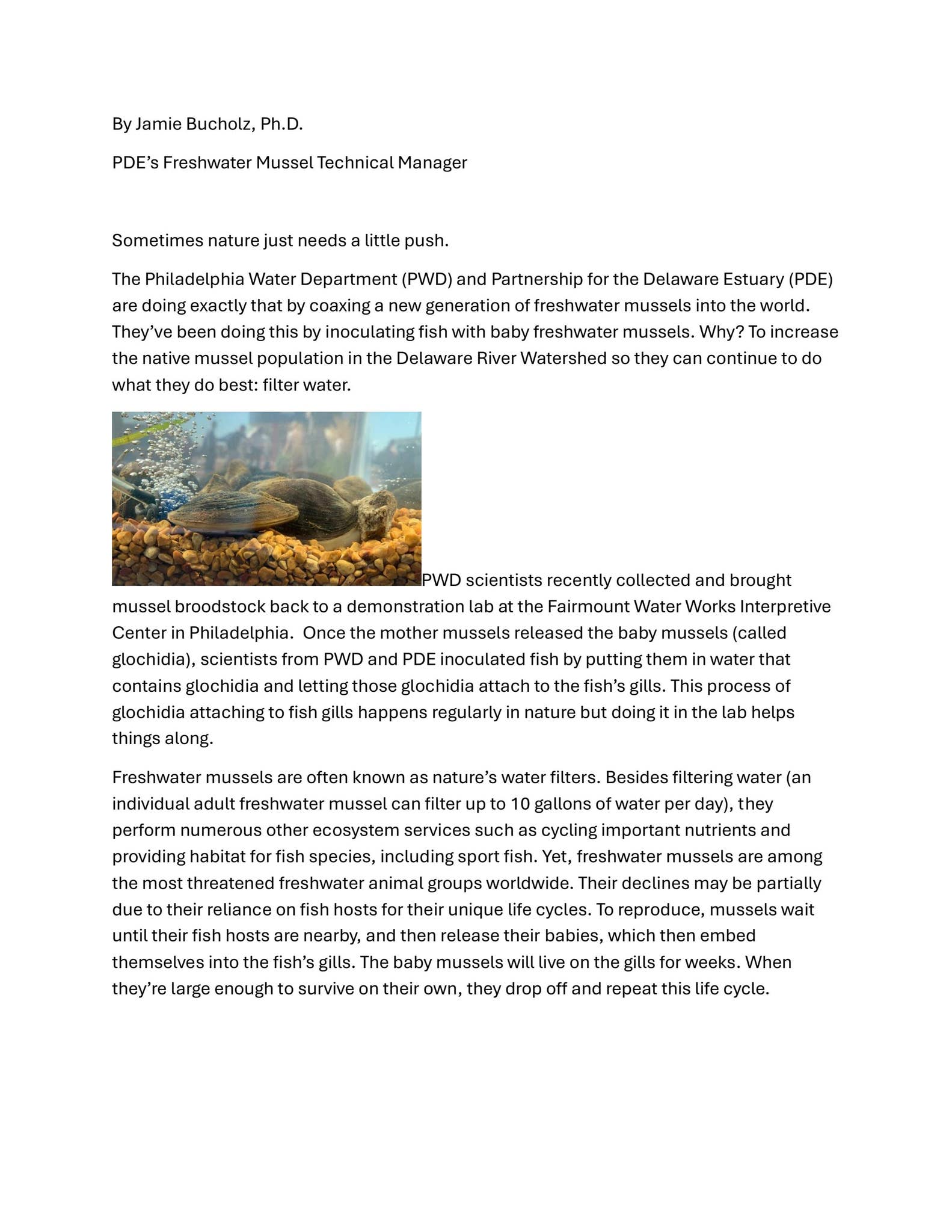 Giving Nature a Little Push - PWD and PDE are Inoculating Fish Gills ...