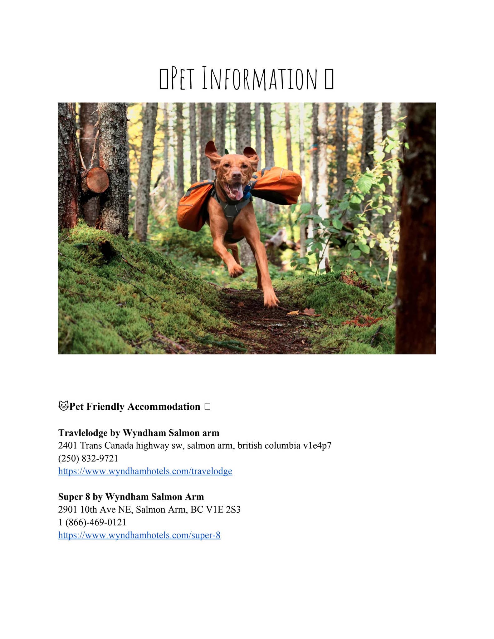 -F0-9F-90-BEPet_Information_-F0-9F-90-BE_(1) by TrueOmni - Issuu