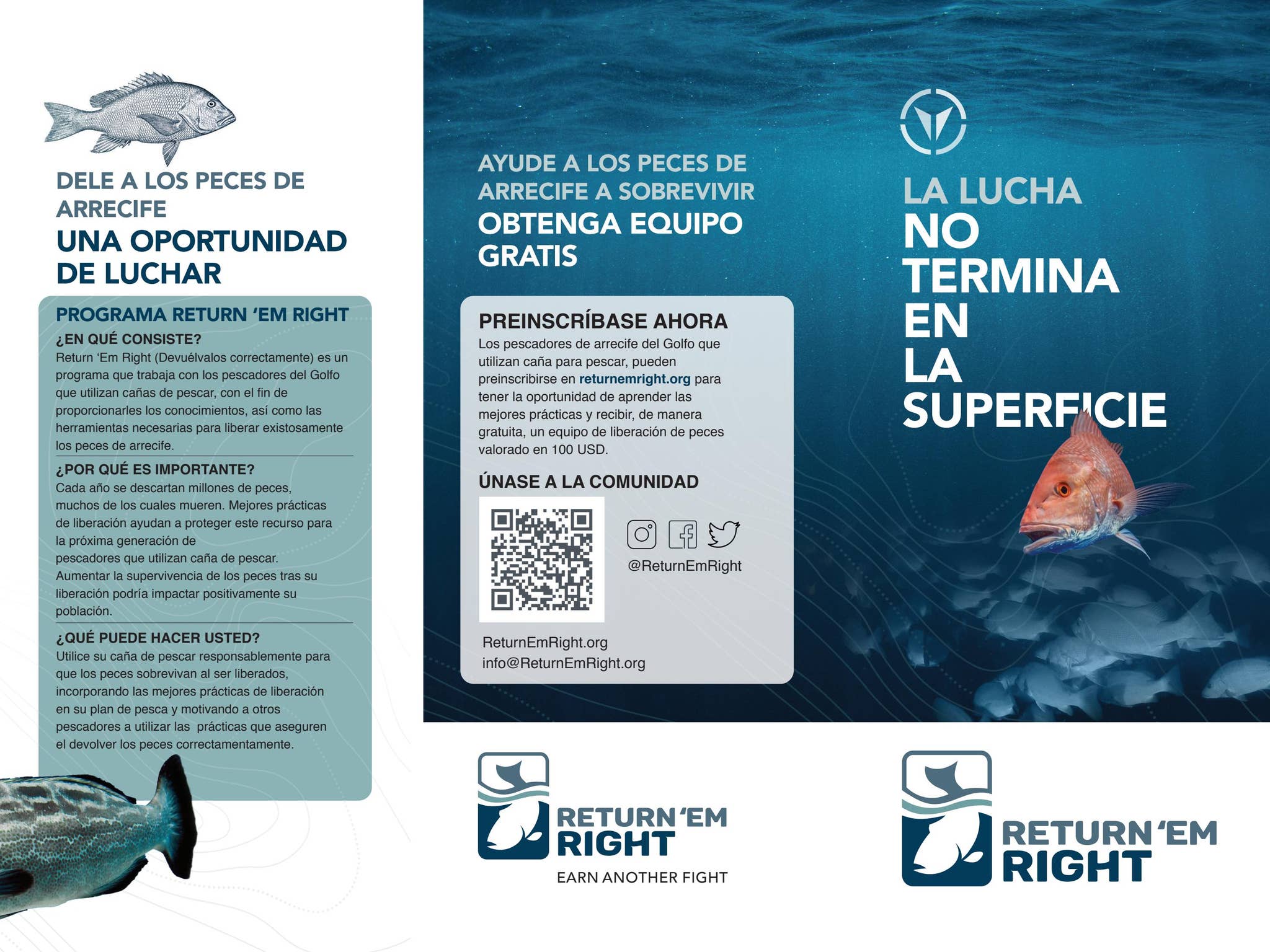 Return 'Em Right Spanish Brochure by ReturnEmRight - Issuu