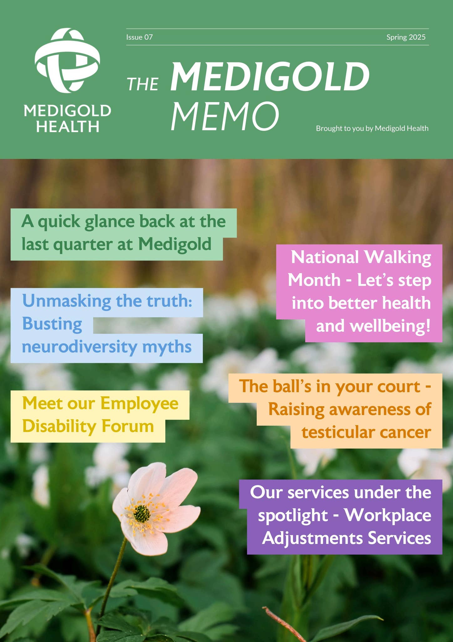 The Medigold Memo - Issue 07 - 17th April 2025 (1) by Medigold_Health ...