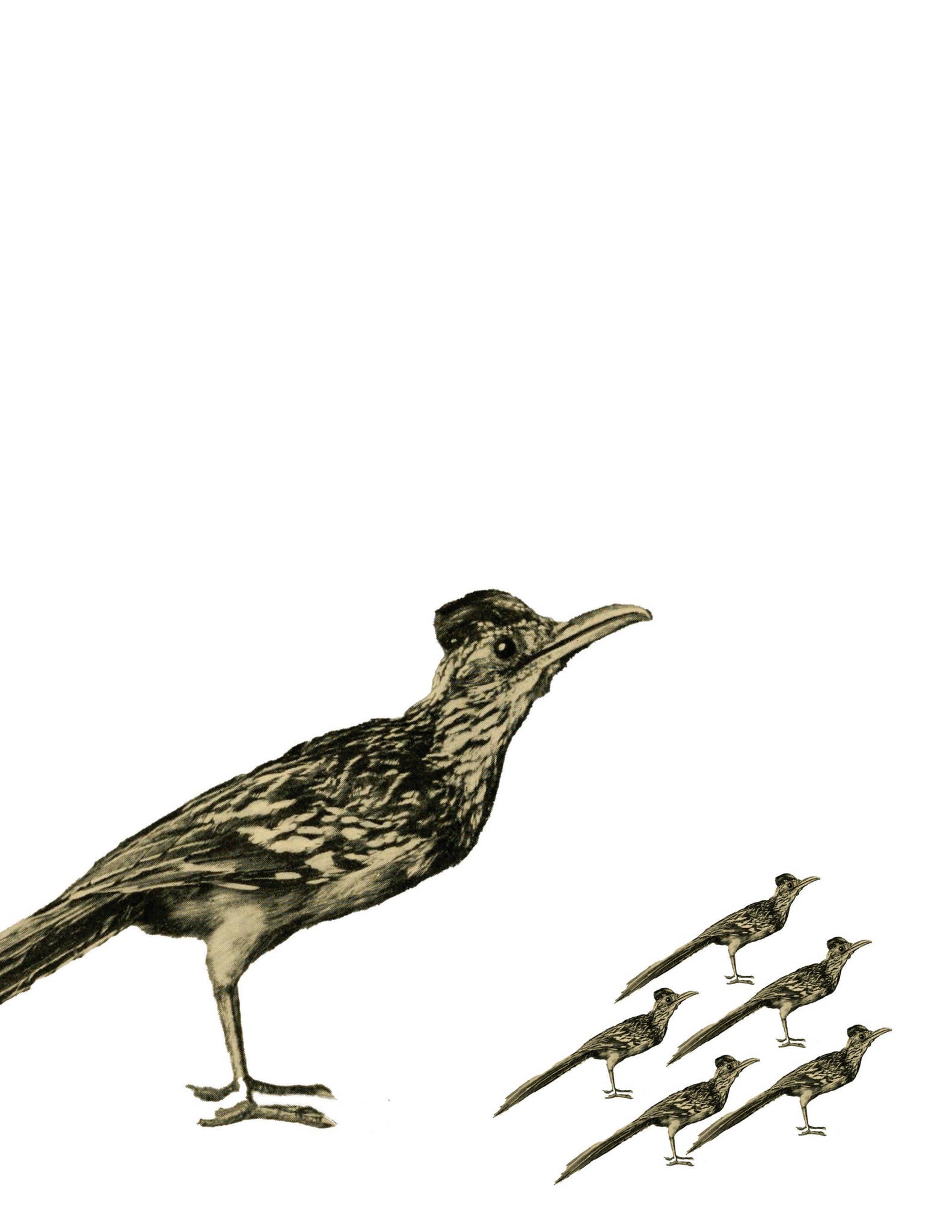 Book Final by Joe Reidhead - Issuu