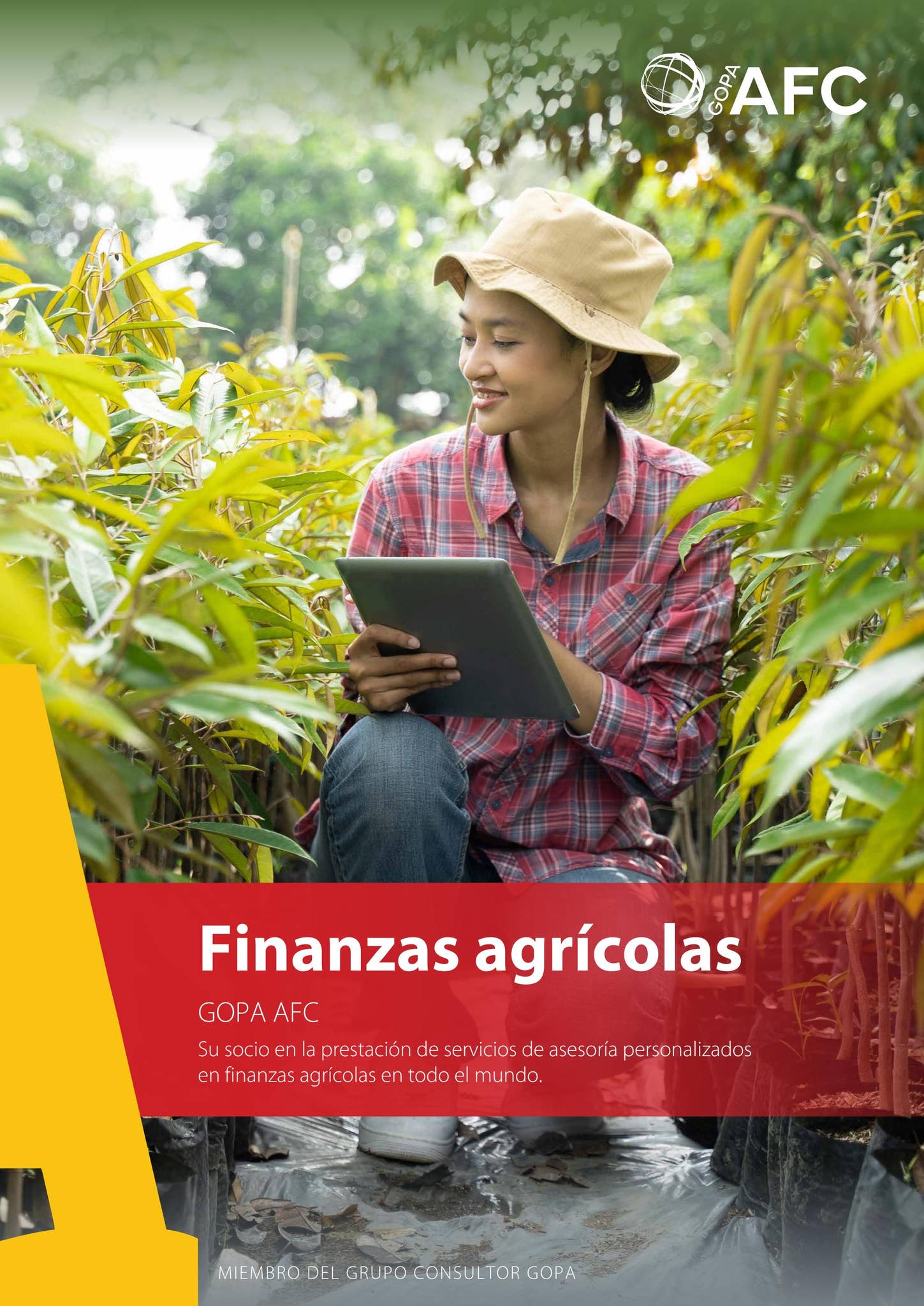 GOPA AFC Agricultural Finance Brochure (Spanish) Nov 2023 by GOPA AFC ...