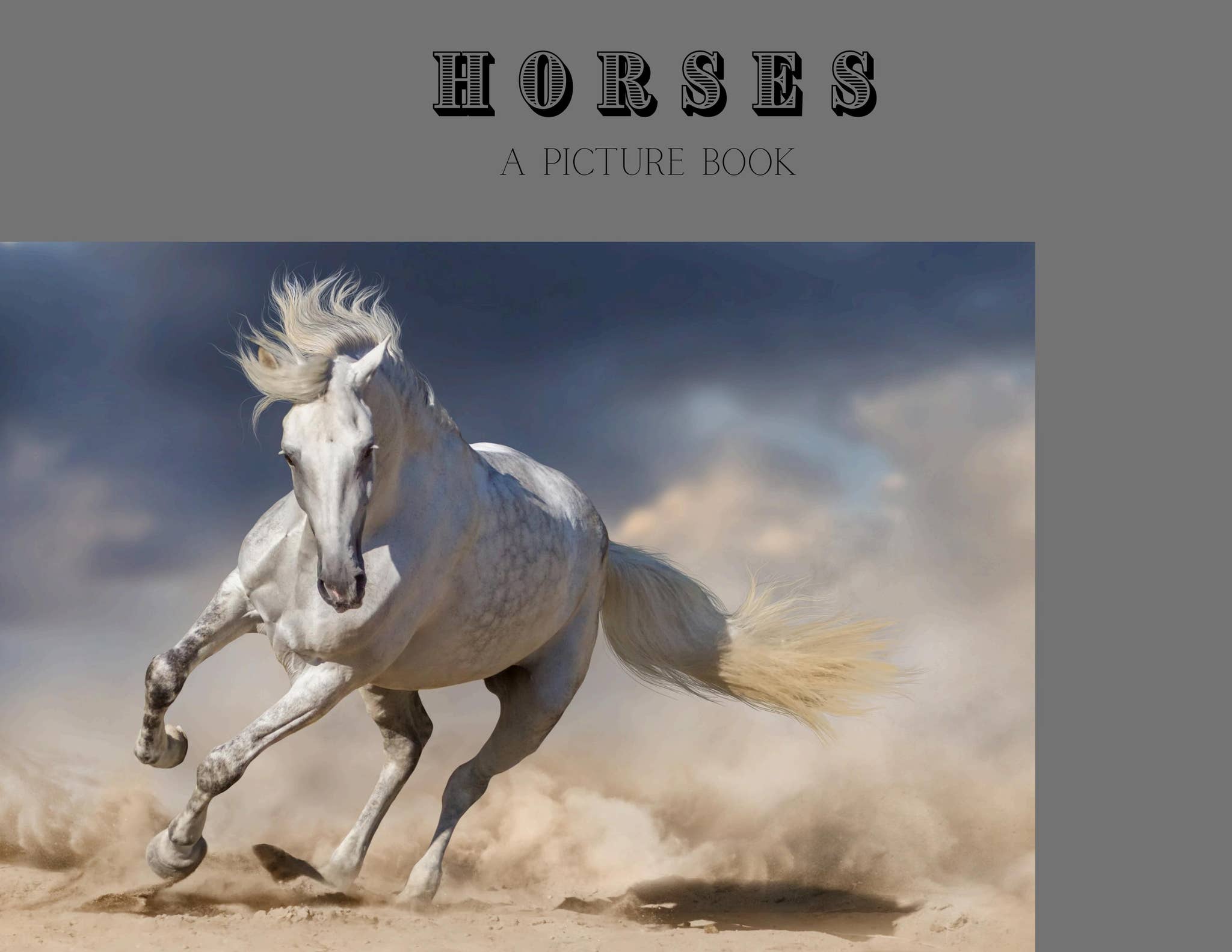 Horses - A Picture Book by Heidi Altree - Issuu
