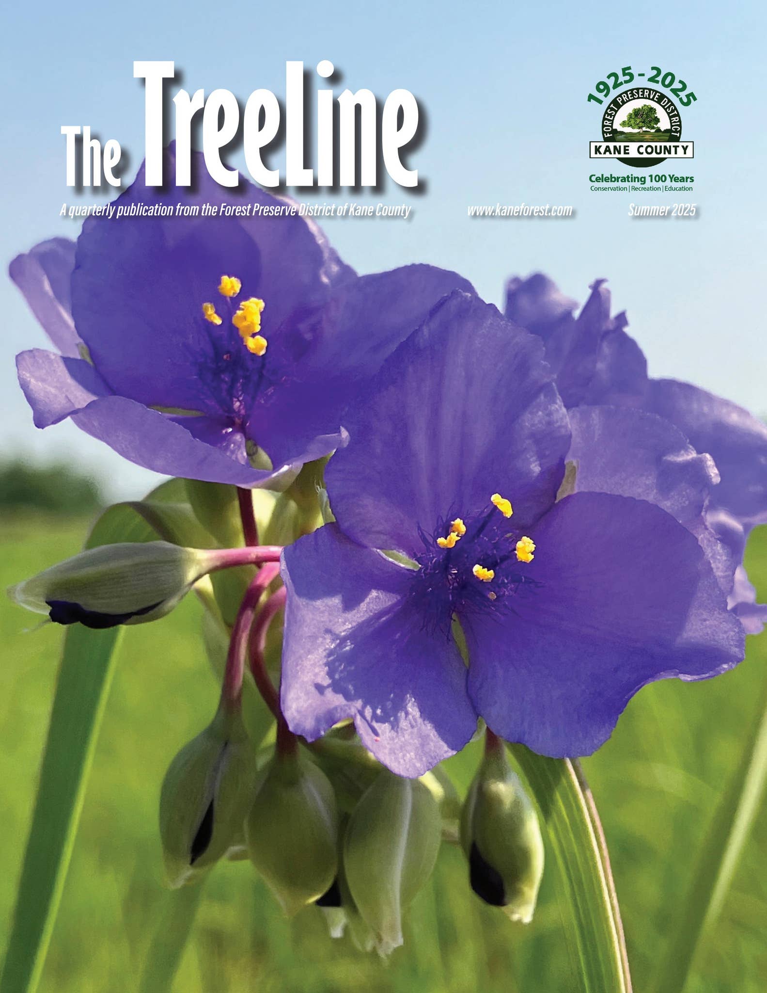 Summer TreeLine 2025 by forestpreserve - Issuu