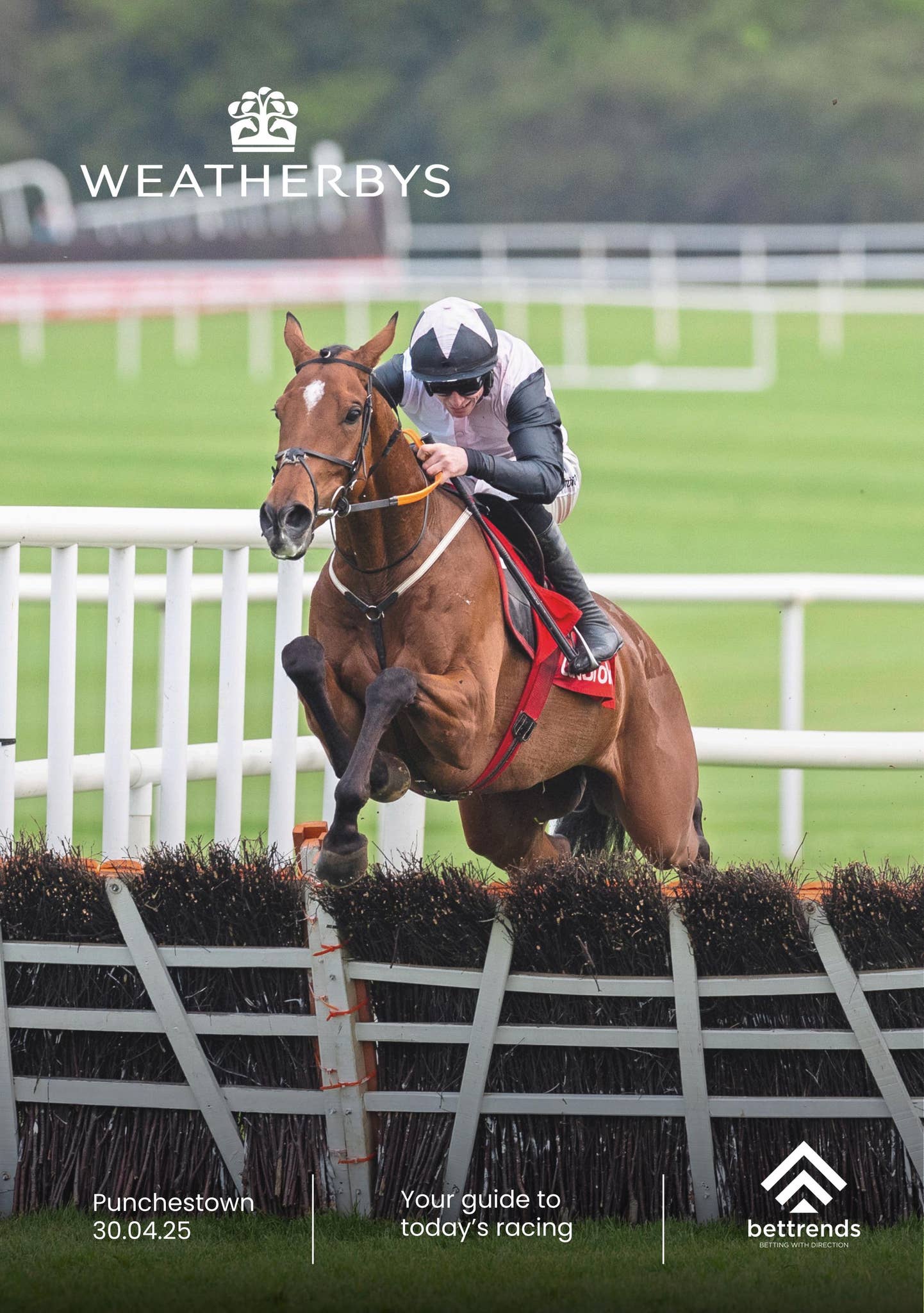 bettrends Punchestown Guide - 30.04.25 by Weatherbys - Issuu