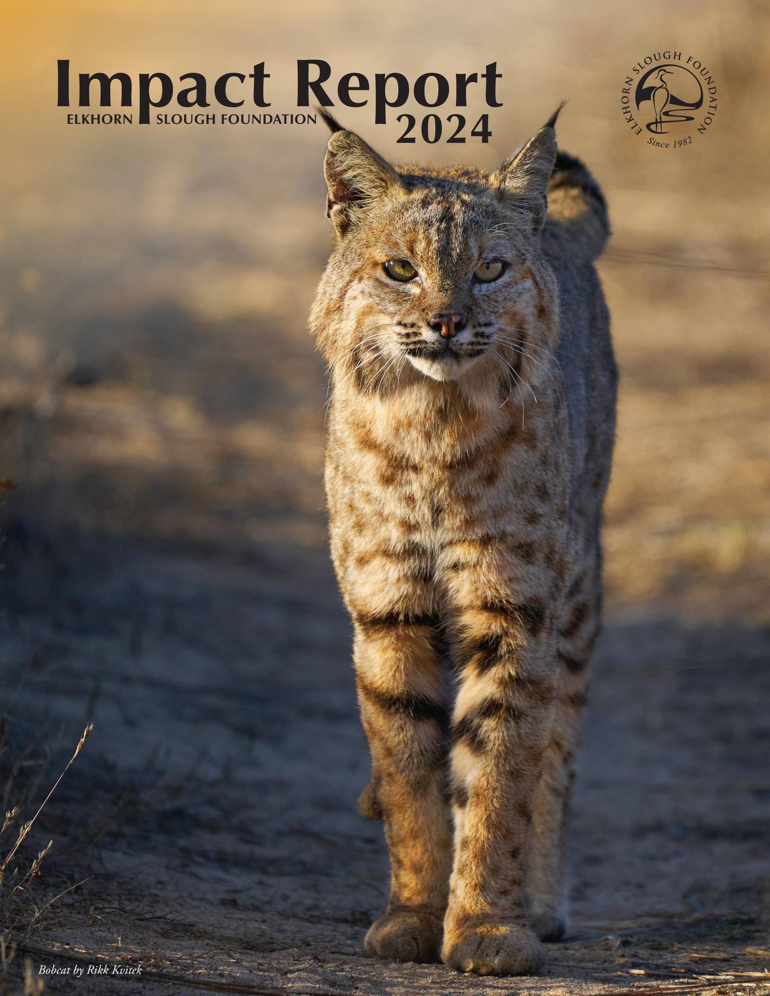 2024 Impact Report, Issued Spring 2025 by Elkhorn Slough Foundation - Issuu
