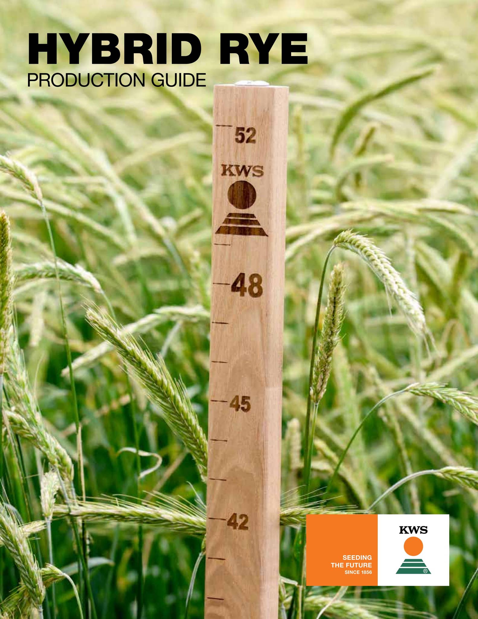 KWS Hybrid Rye Production Guide by KWS.US - Issuu