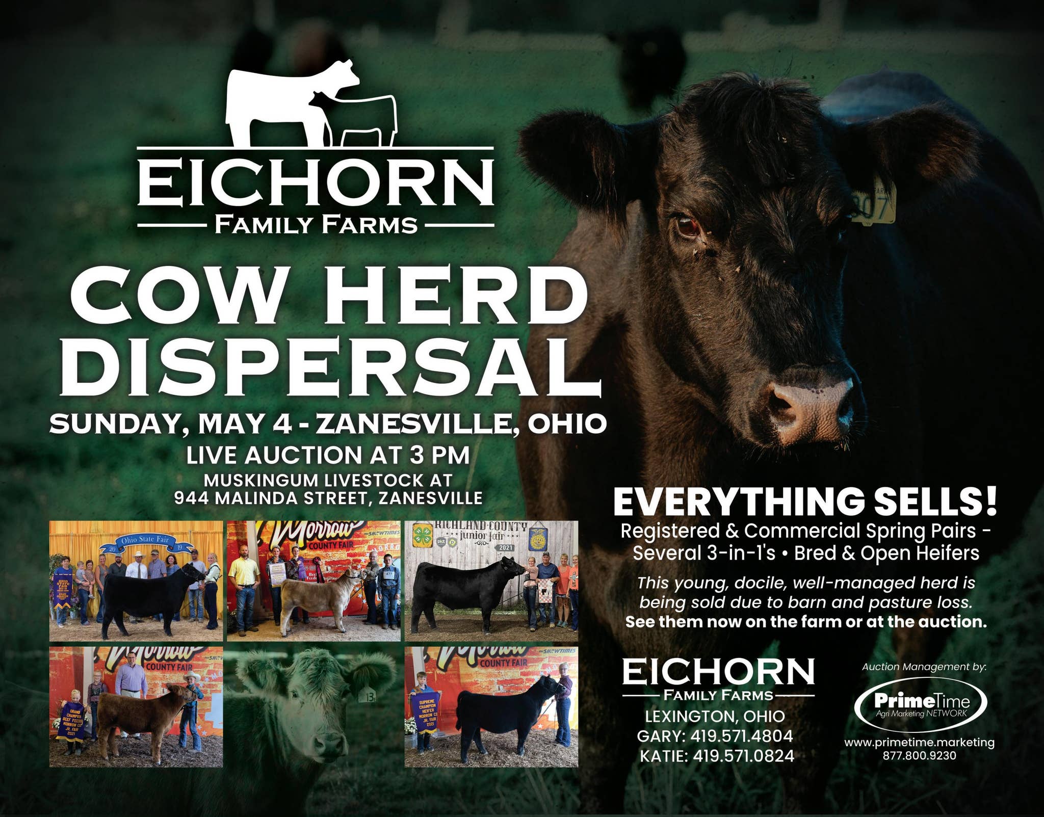 Eichorn Family Farms Dispersal by Craig Reiter - Issuu