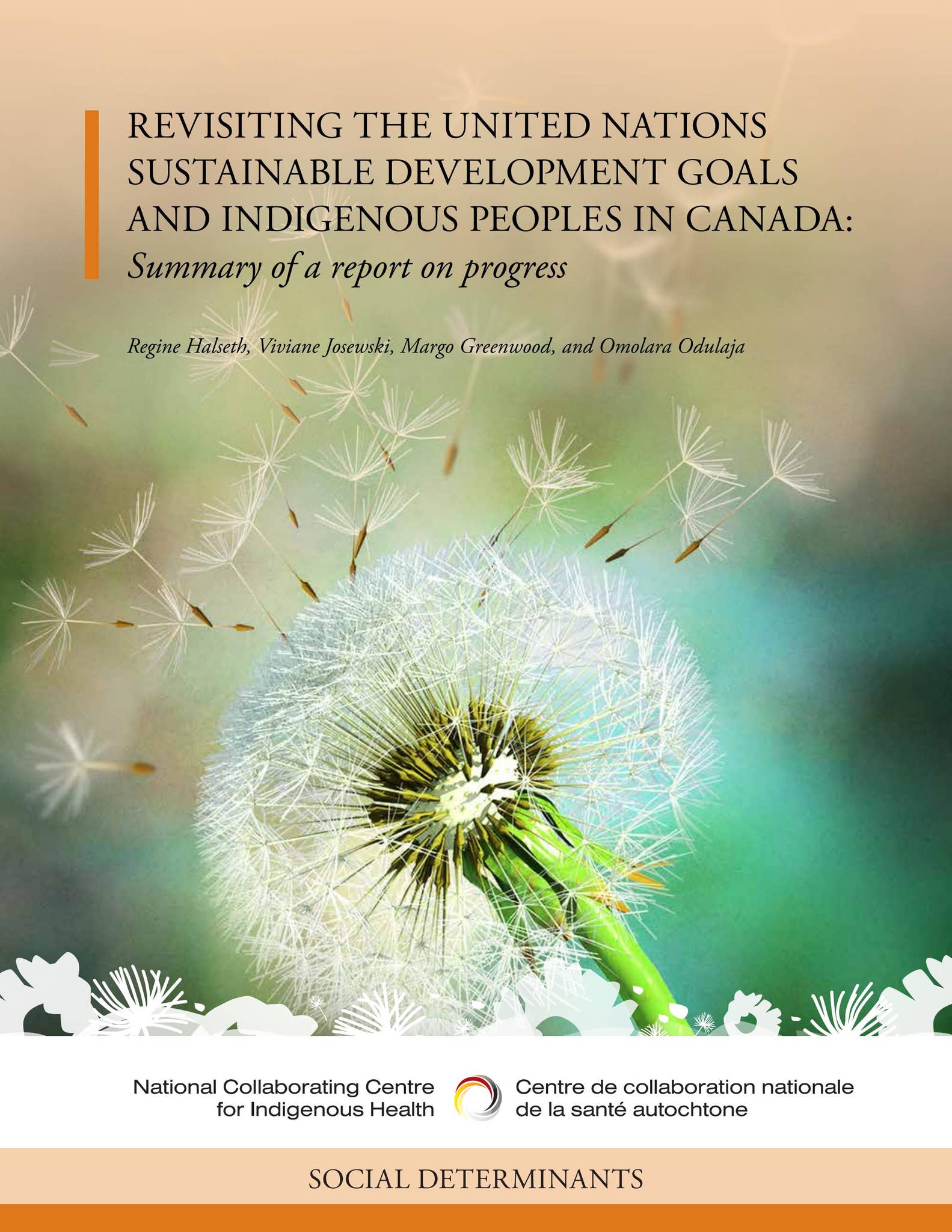 Revisiting the United Nations Sustainable Development Goals and ...