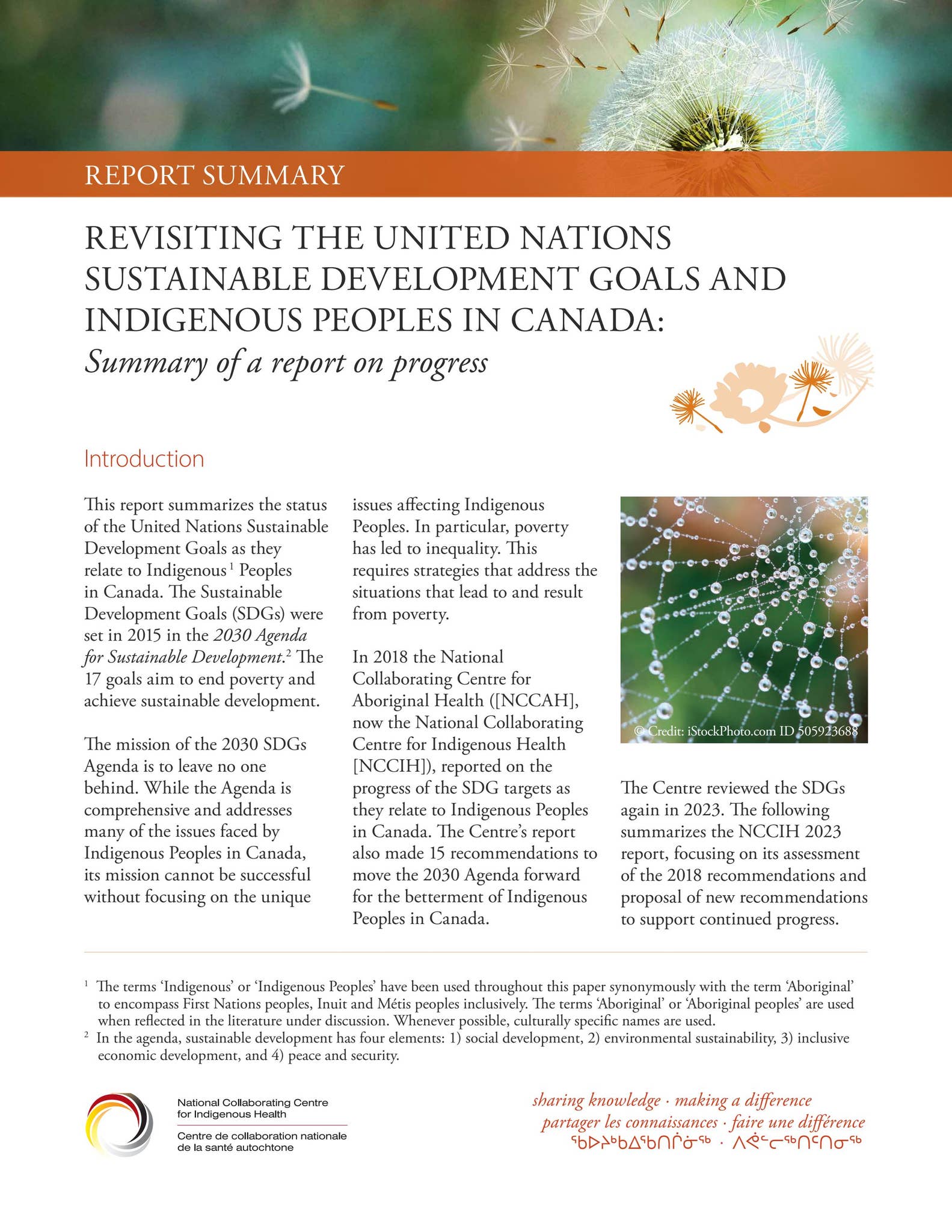 Report summary - Revisiting the United Nations Sustainable Development ...
