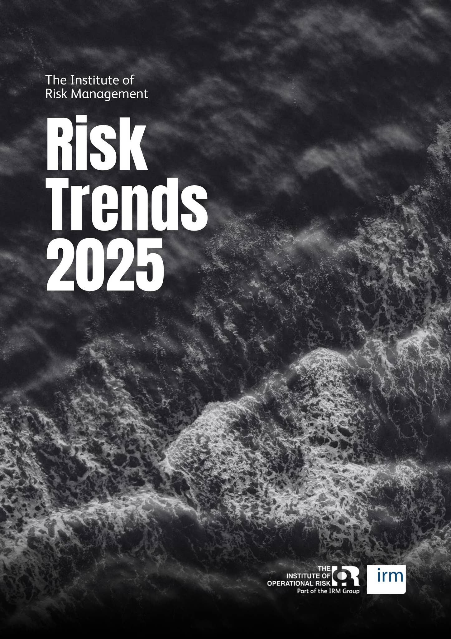 IRM Risk Trends 2025 by Institute of Risk Management - Issuu