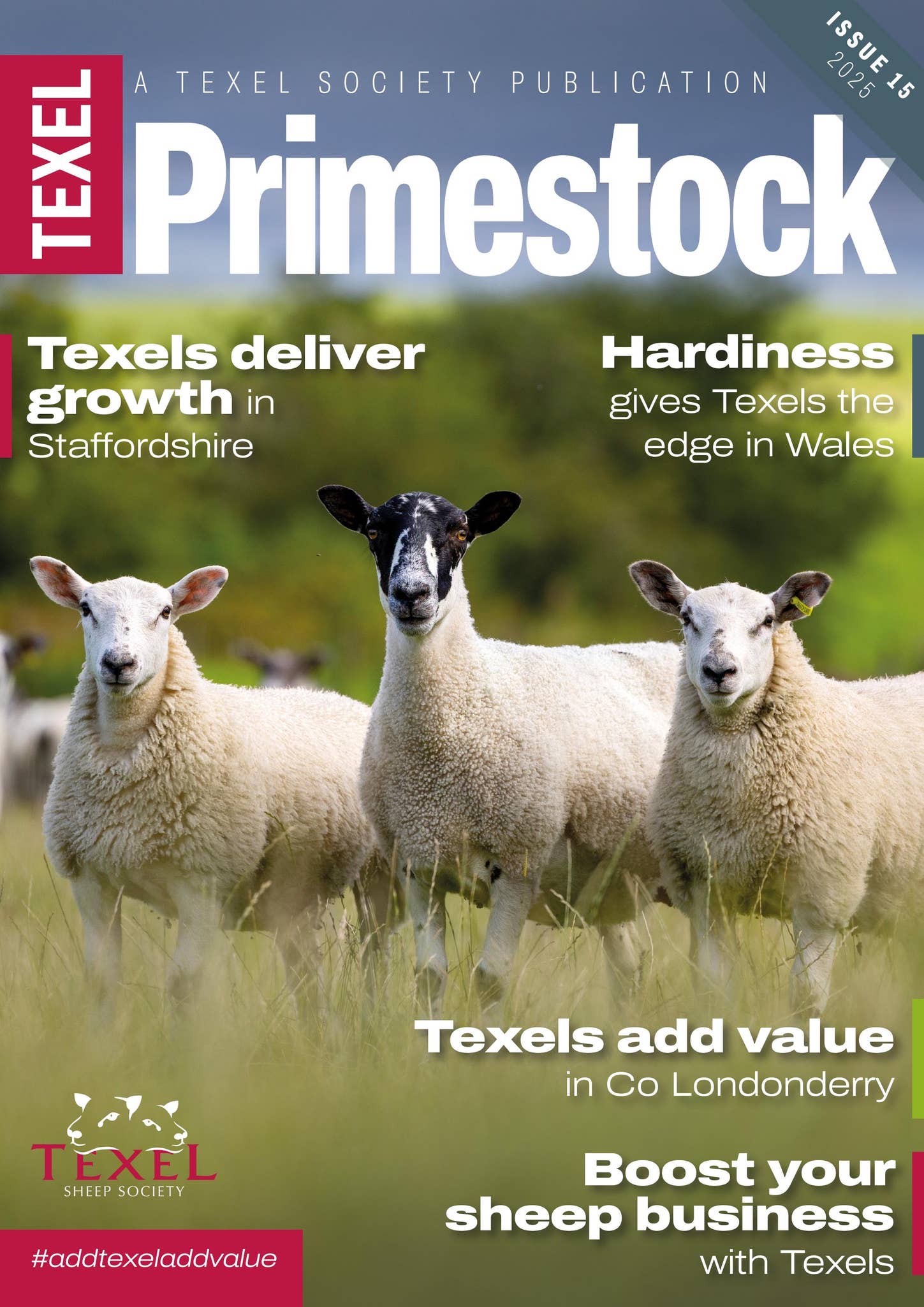 Texel Primestock Spring 2025 by Texel Sheep Society Ltd - Issuu