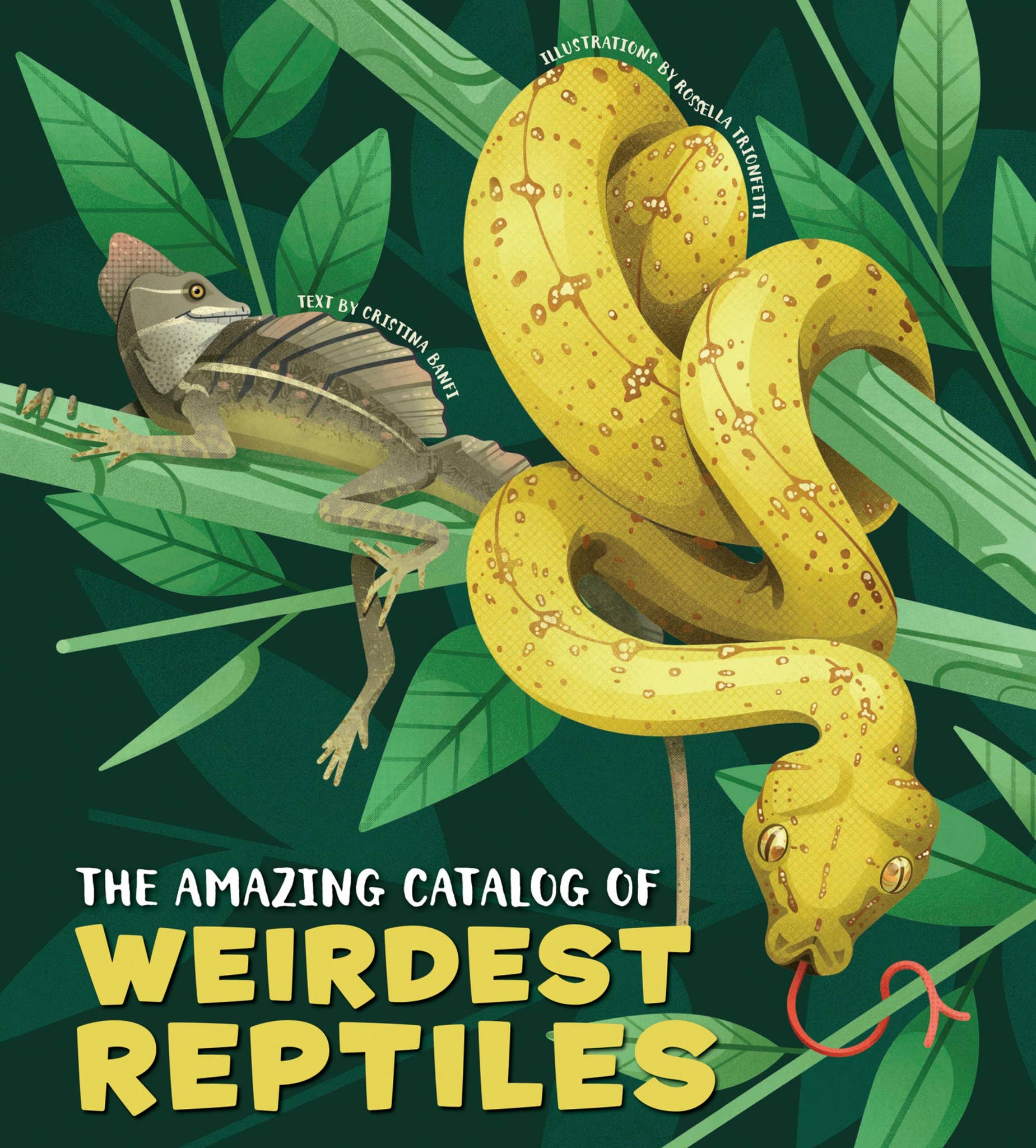 The Amazing Catalog of Weirdest Reptiles by ACC Art Books - Issuu