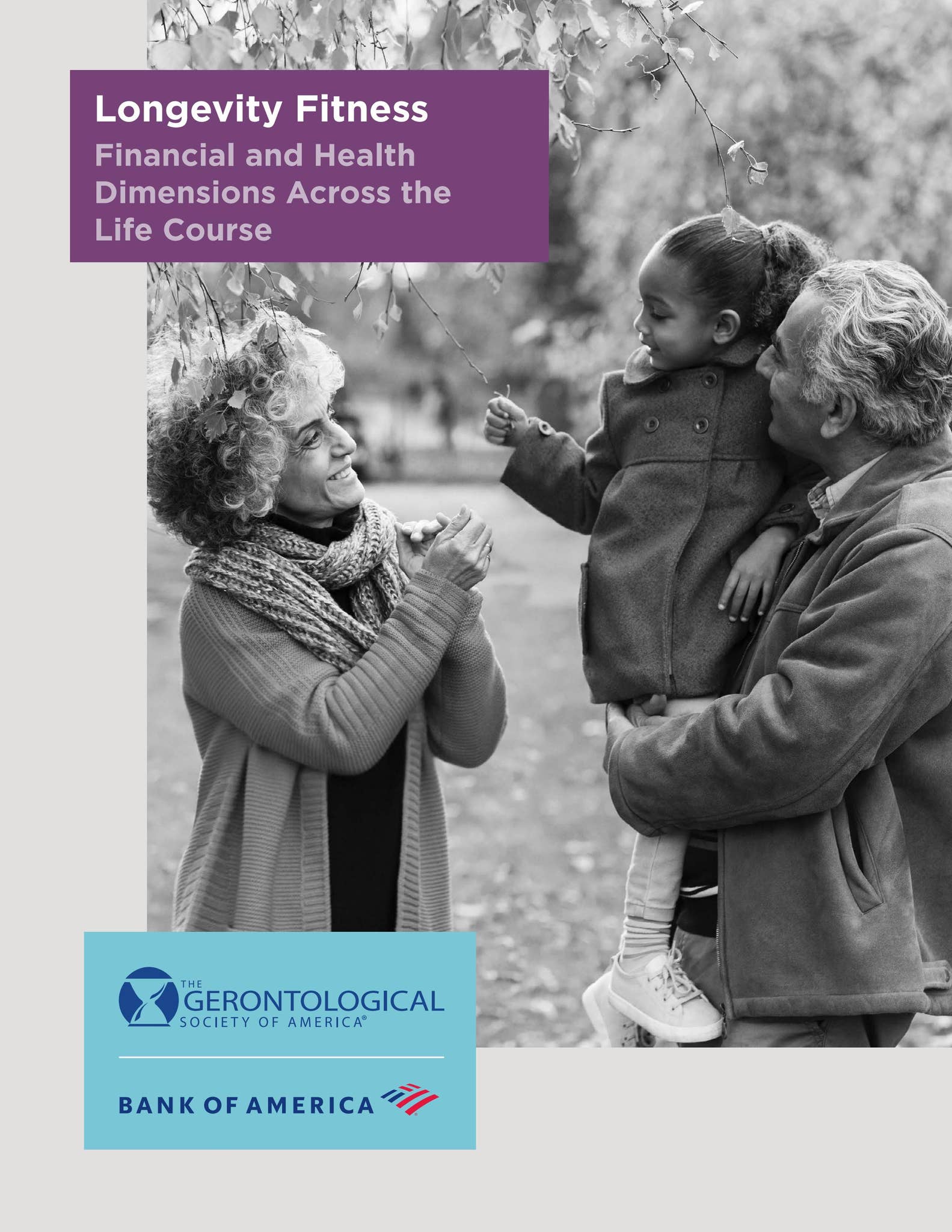 Longevity Fitness: Financial and Health Dimensions Across the Life ...