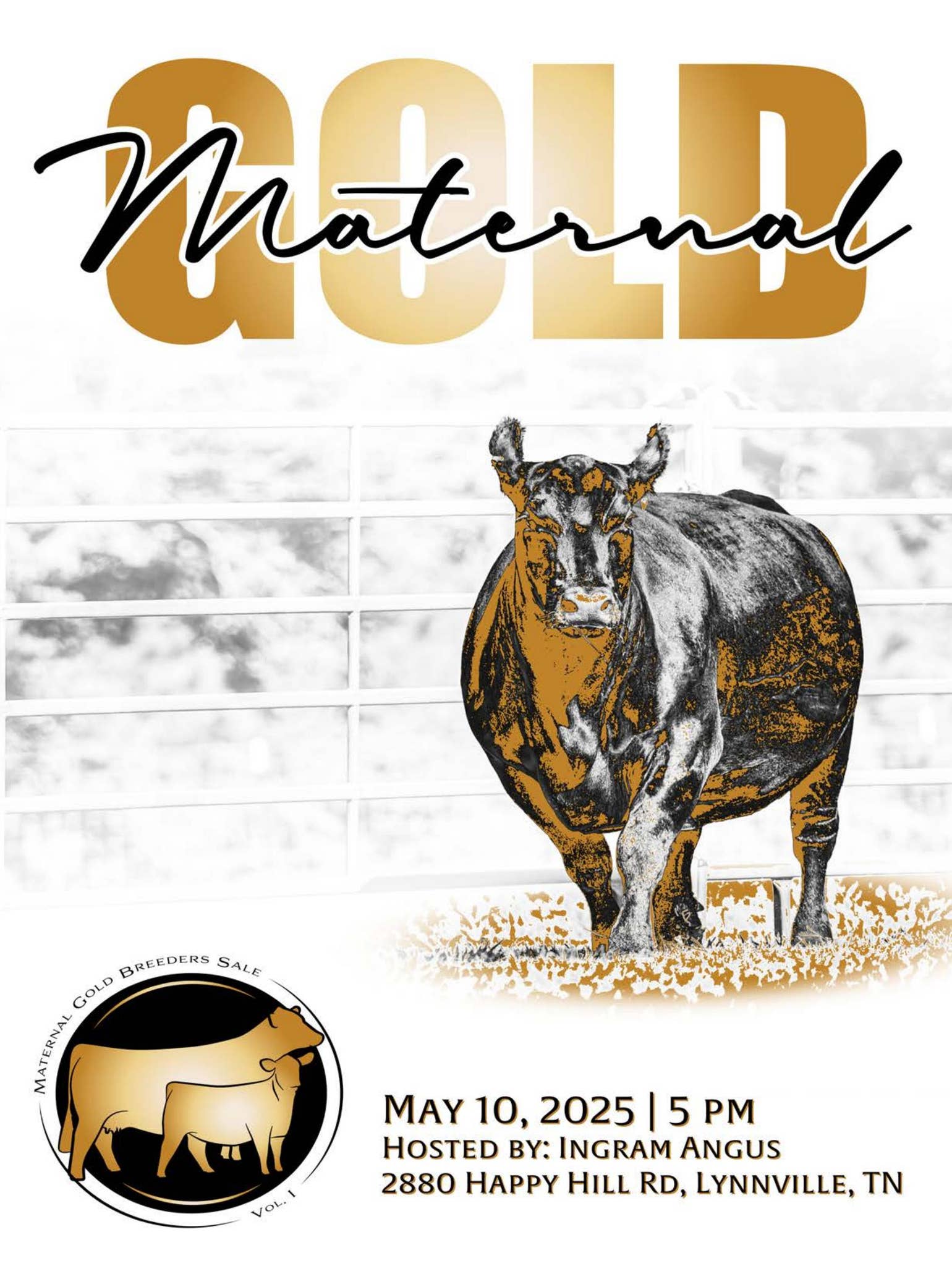 2025 Ingram Angus Maternal Gold Sale Catalog by Ranch House Designs - Issuu