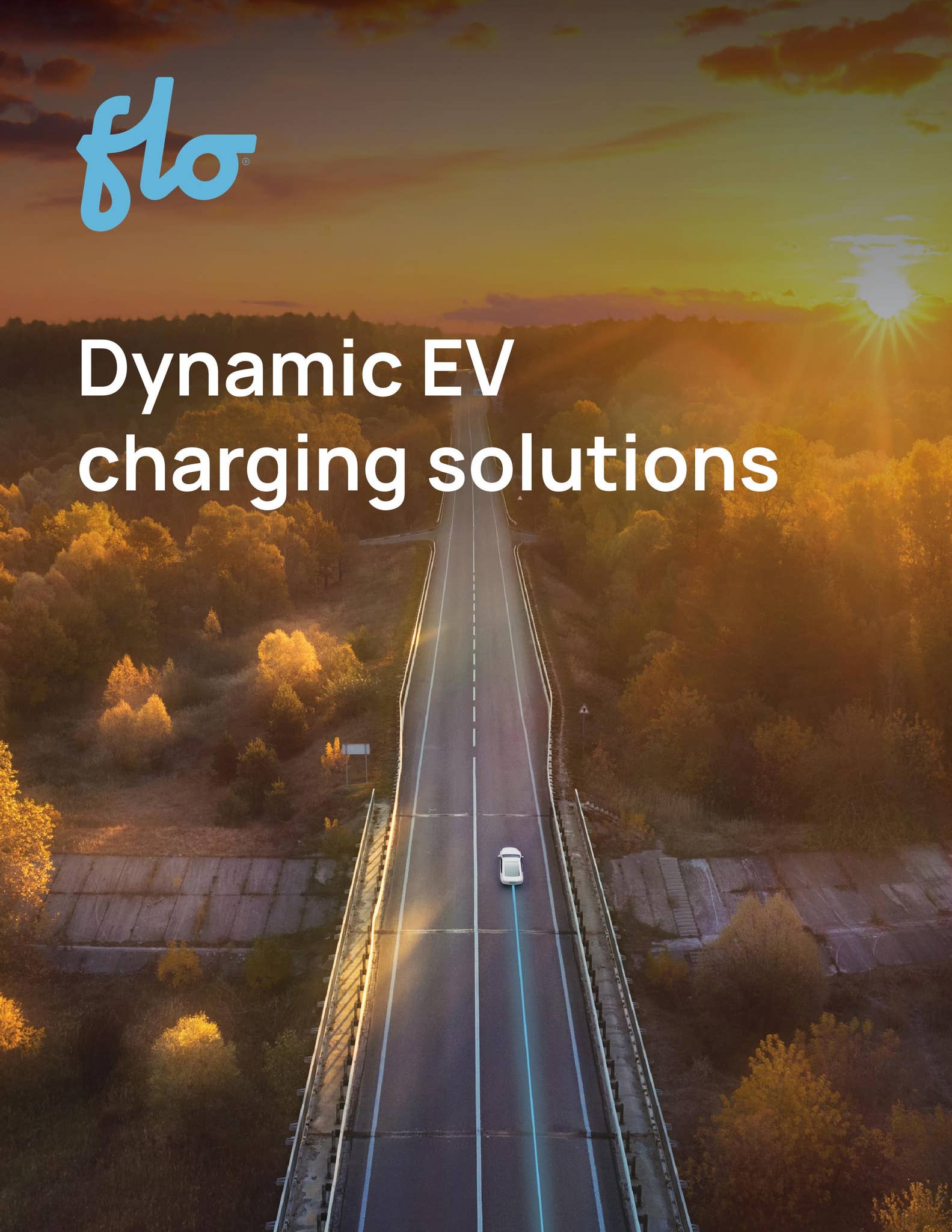 FLO Corporate Brochure EN by 16mcmillan16 - Issuu