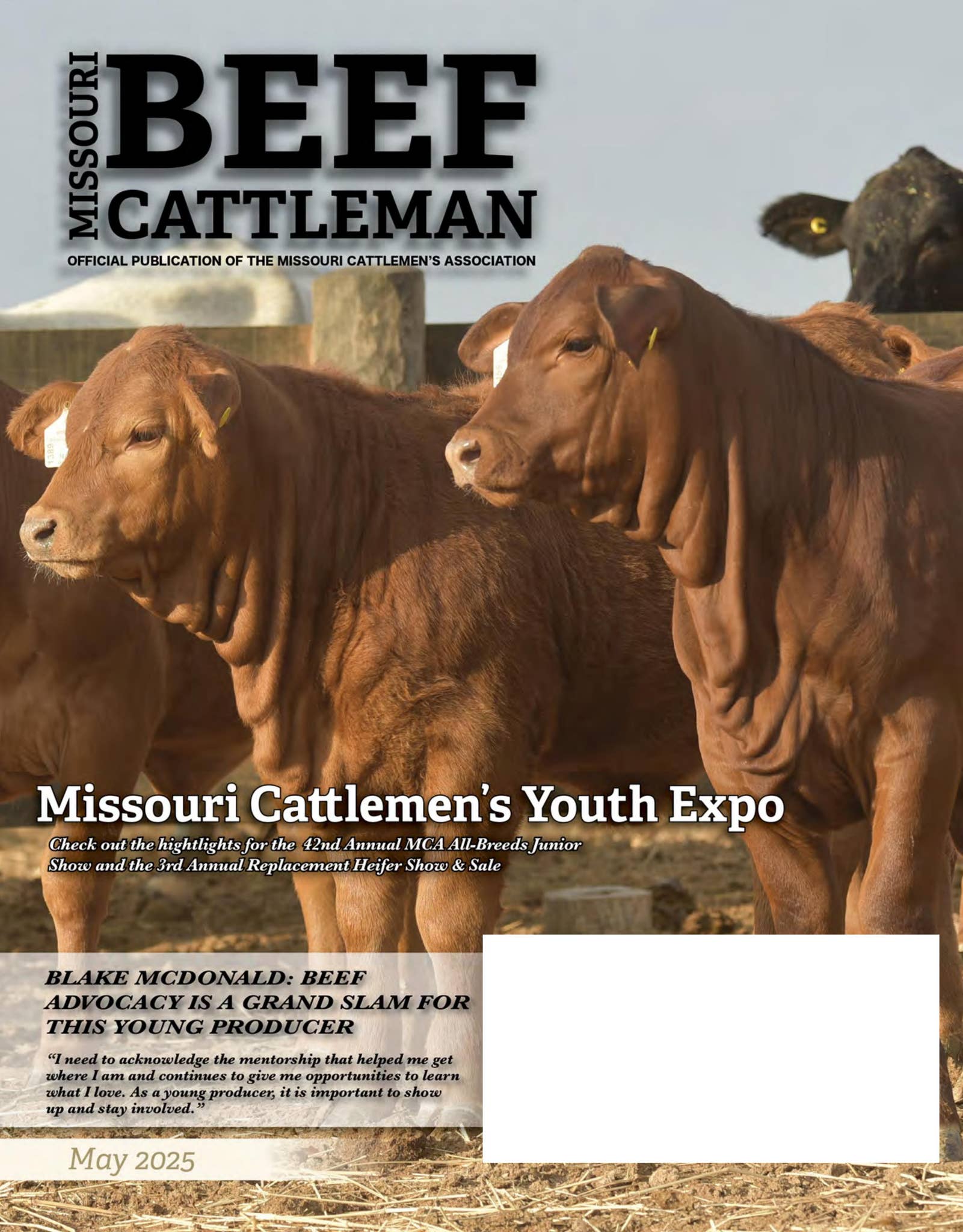 May 2025 - Missouri Beef Cattleman by Missouri Cattlemen's Association ...