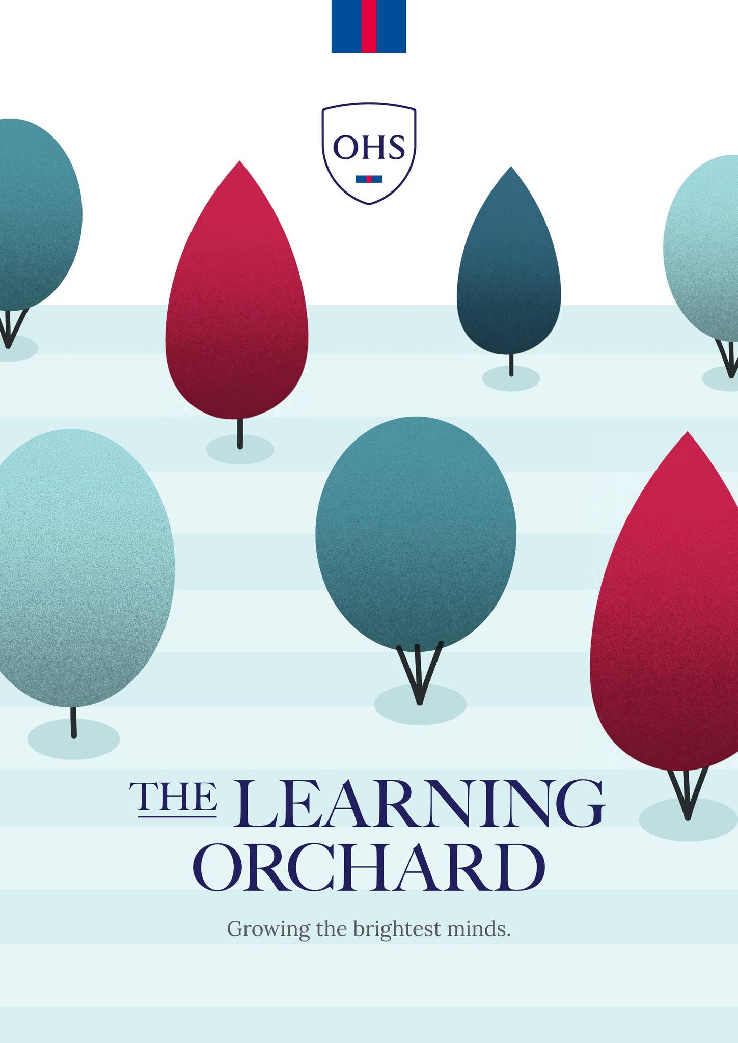 OHS Curriculum Brochure by Dukes_Education - Issuu