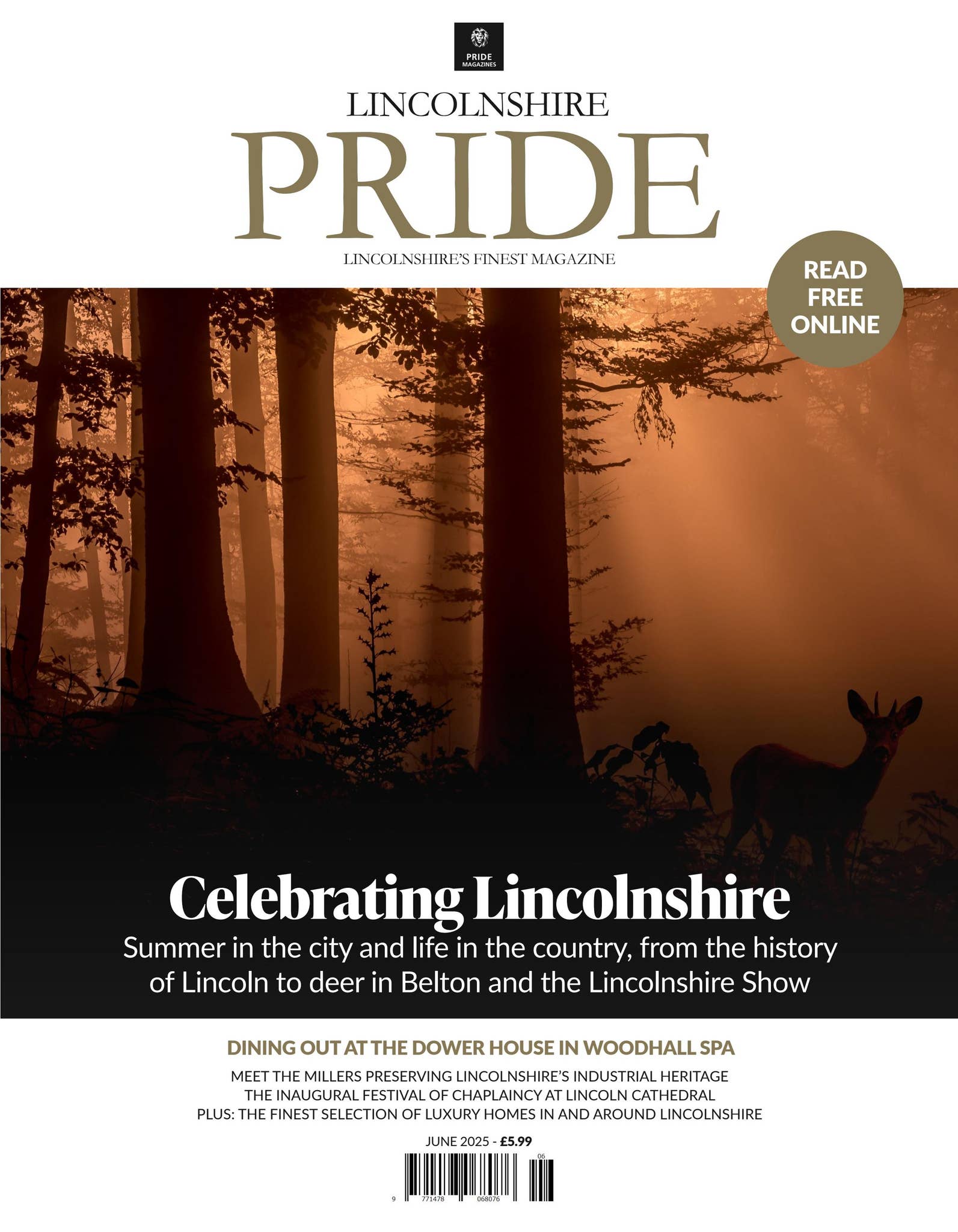 Lincolnshire Pride June 2025 by Pride Magazines Ltd - Issuu