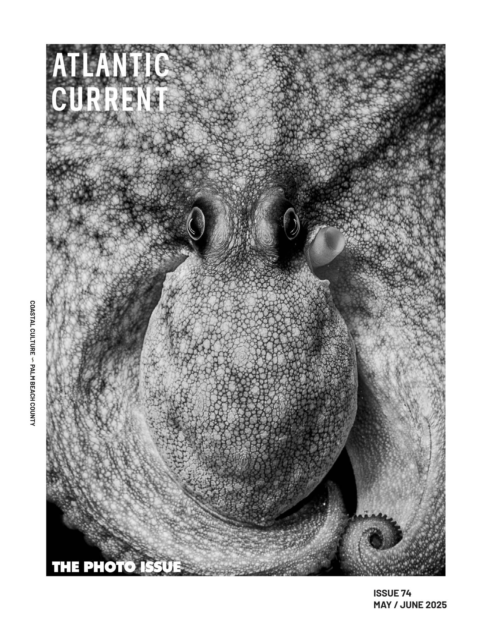 Atlantic Current: The Photo Issue - May/June 2025 by The Atlantic ...