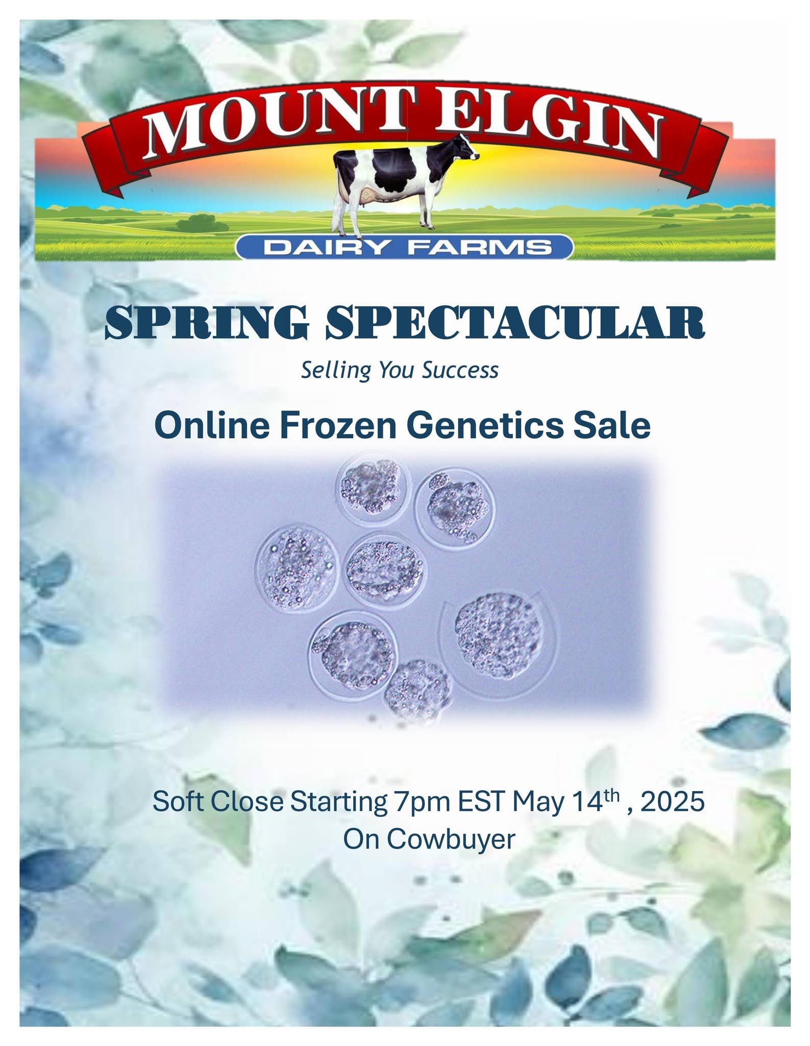 Mount Elgin Online Embryo Sale 2025 by Mount Elgin Dairy Farms - Issuu