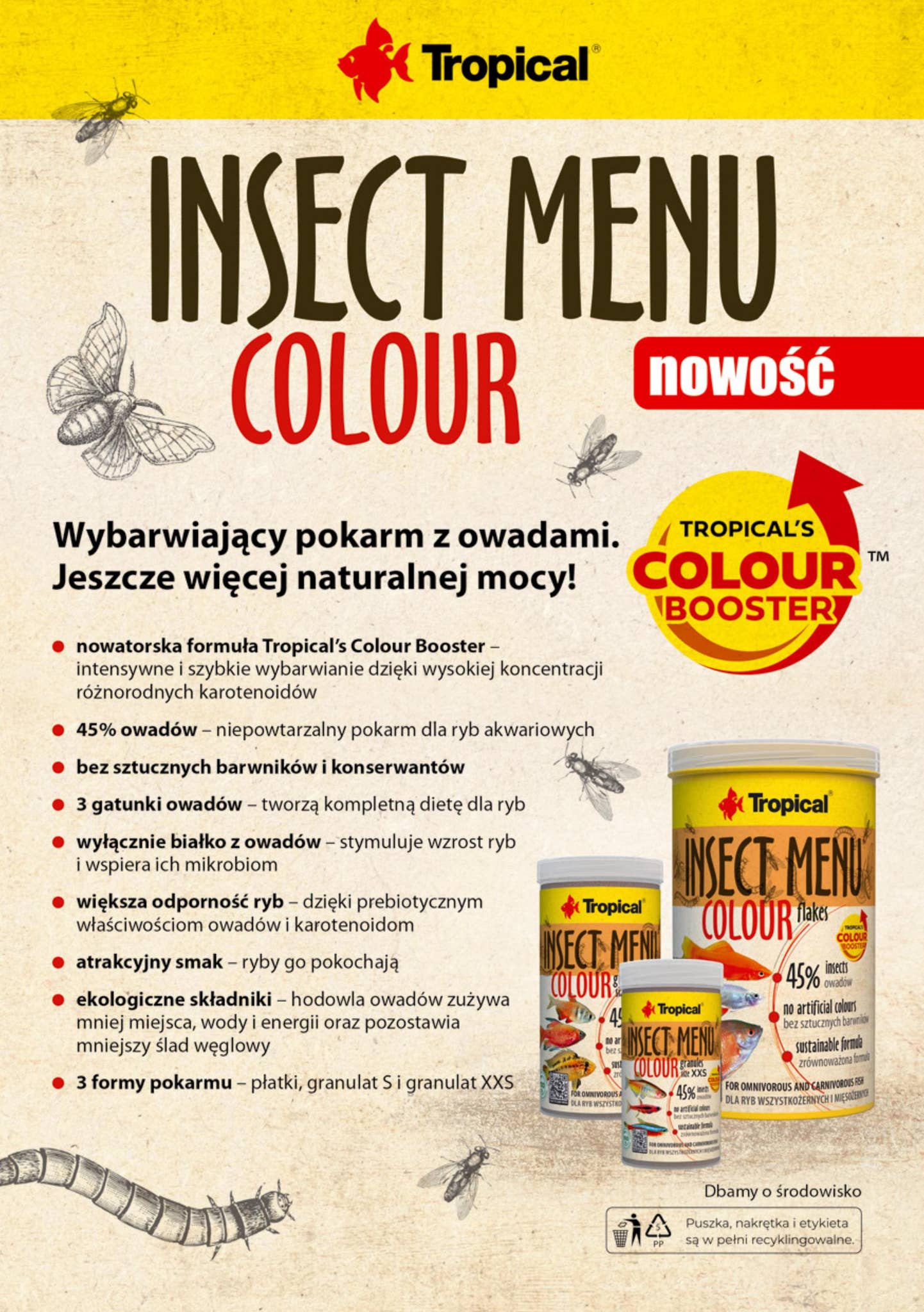 Insect Menu Colour by Tropical Tadeusz Ogrodnik - Issuu