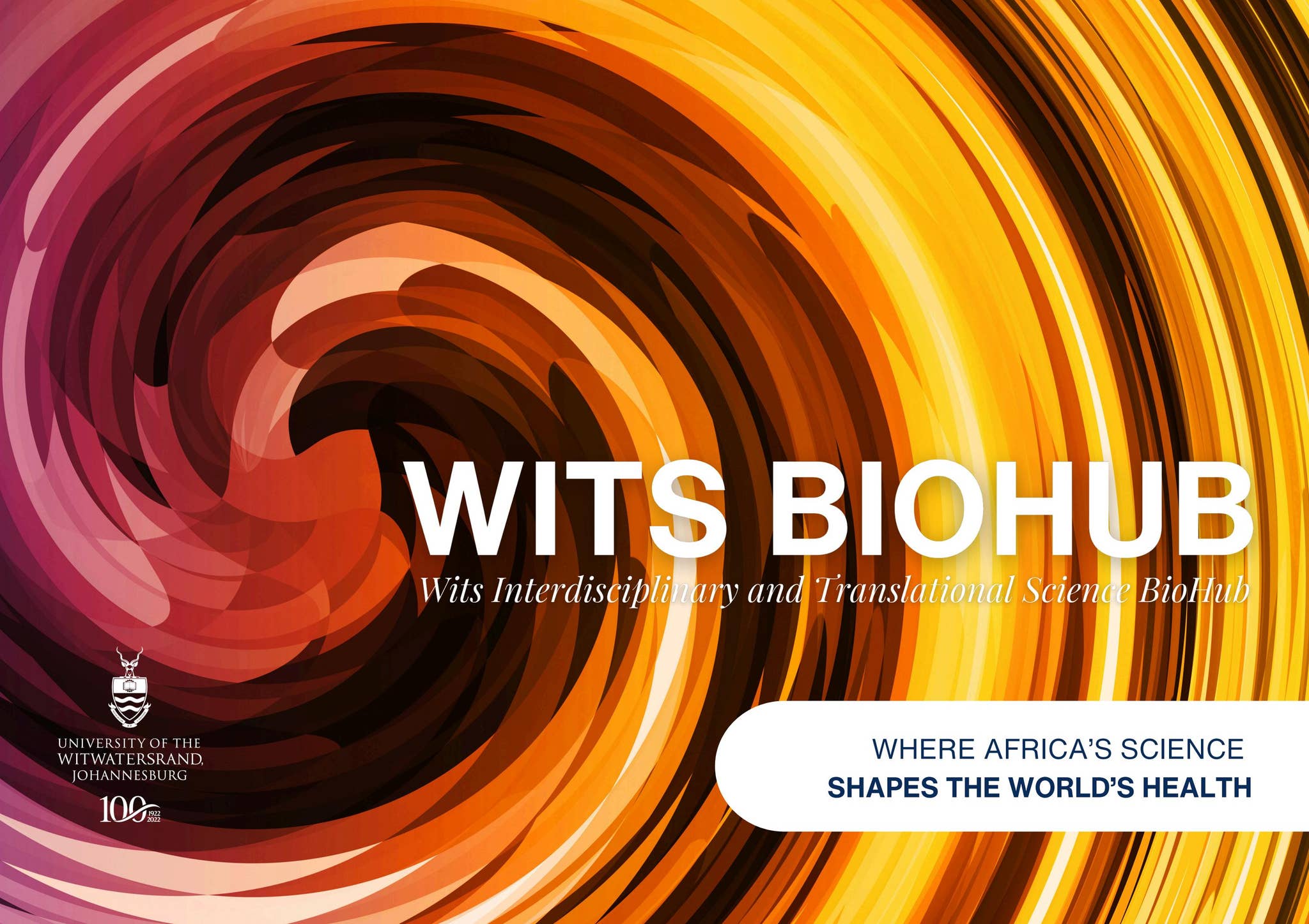 Wits BioHub by Wits Faculty of Health Sciences - Issuu