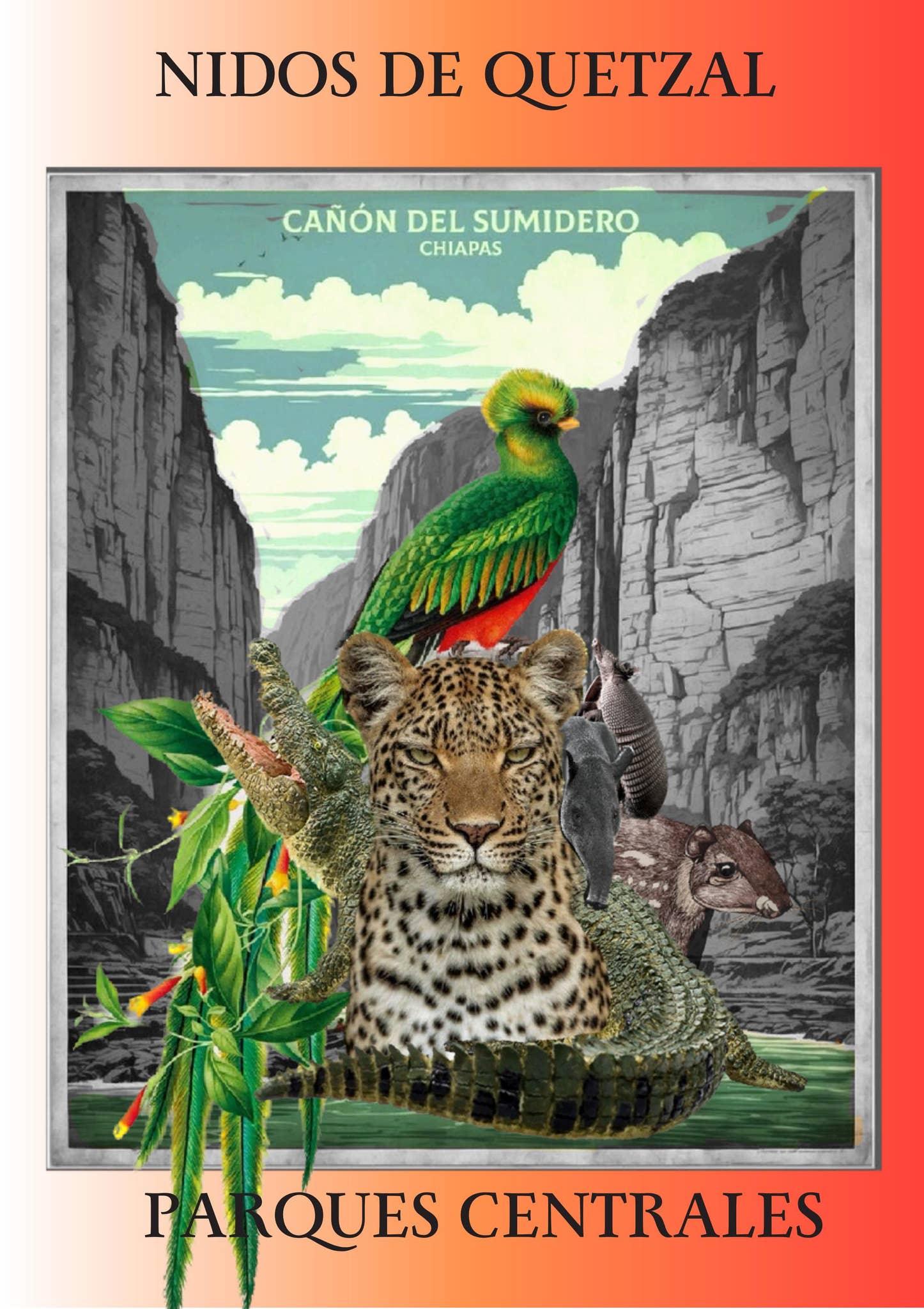 Nido de quetzal librito by MICHELLE MARTINEZ BARRAGAN - Issuu