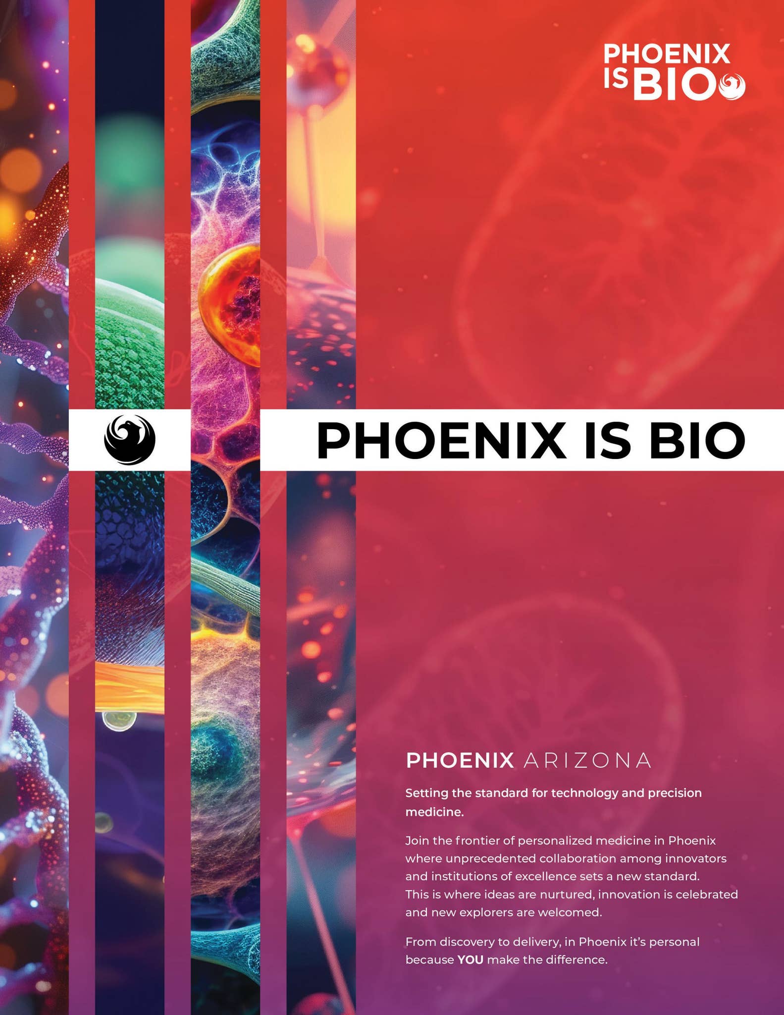 Phoenix is Bio Handout by Phoenix Community & Economic Development - Issuu
