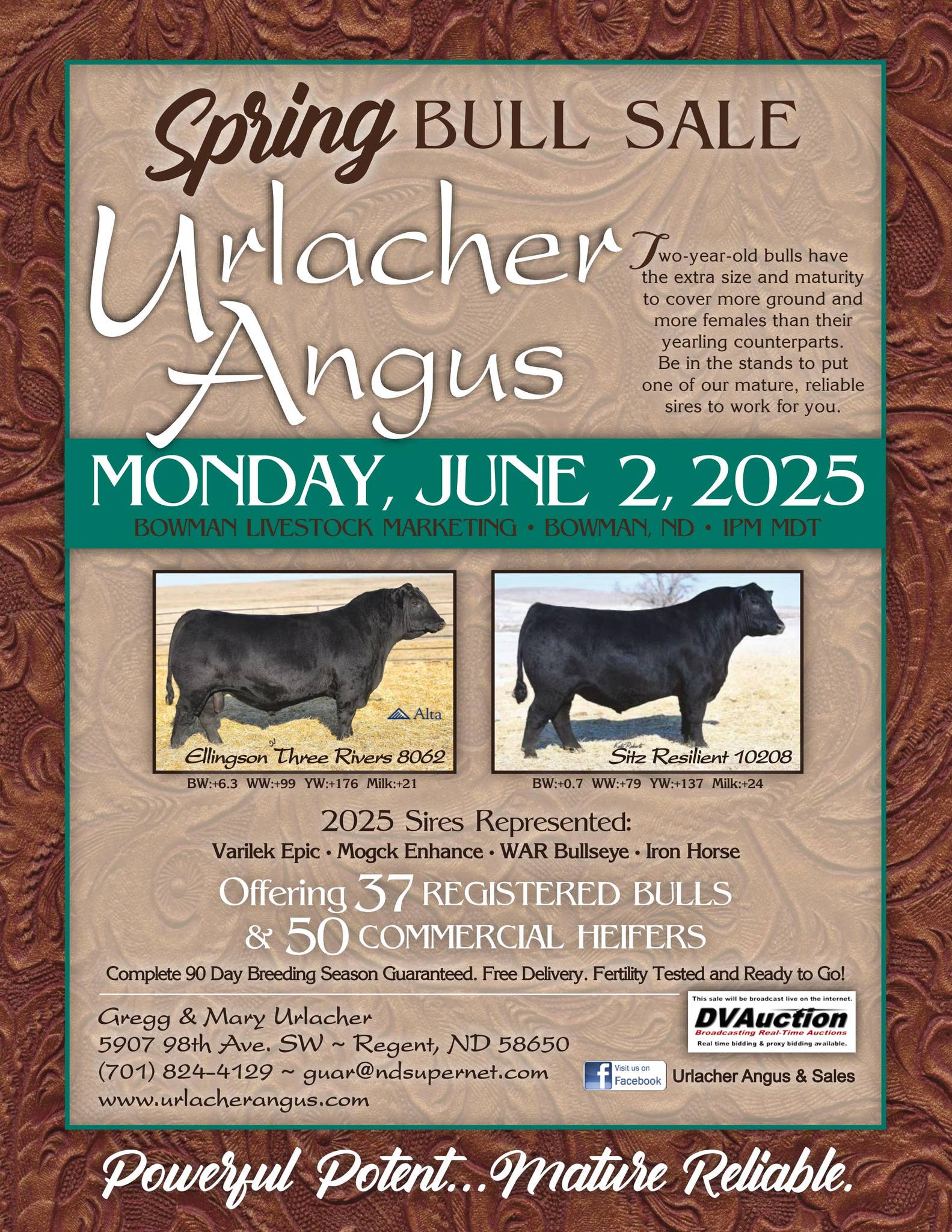 Urlacher Angus Spring 2025 Bull & Female Sale by Tri-State Livestock ...