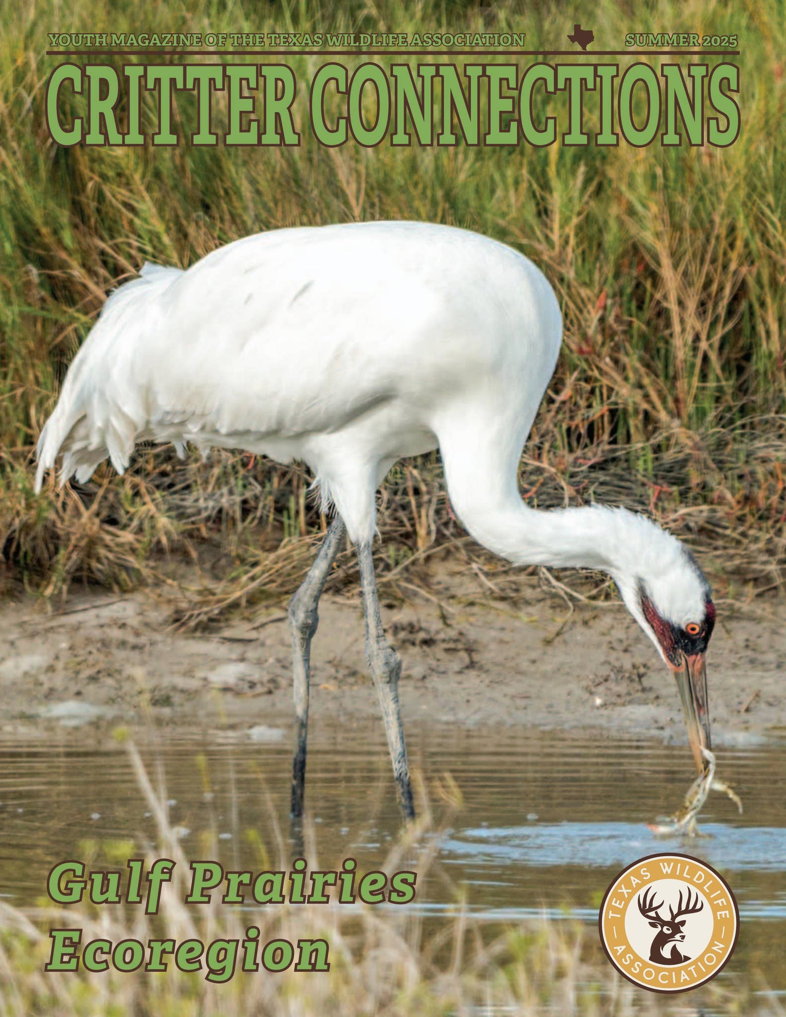 Summer 2025 Gulf Prairies Ecoregion by Texas Wildlife Association - Issuu