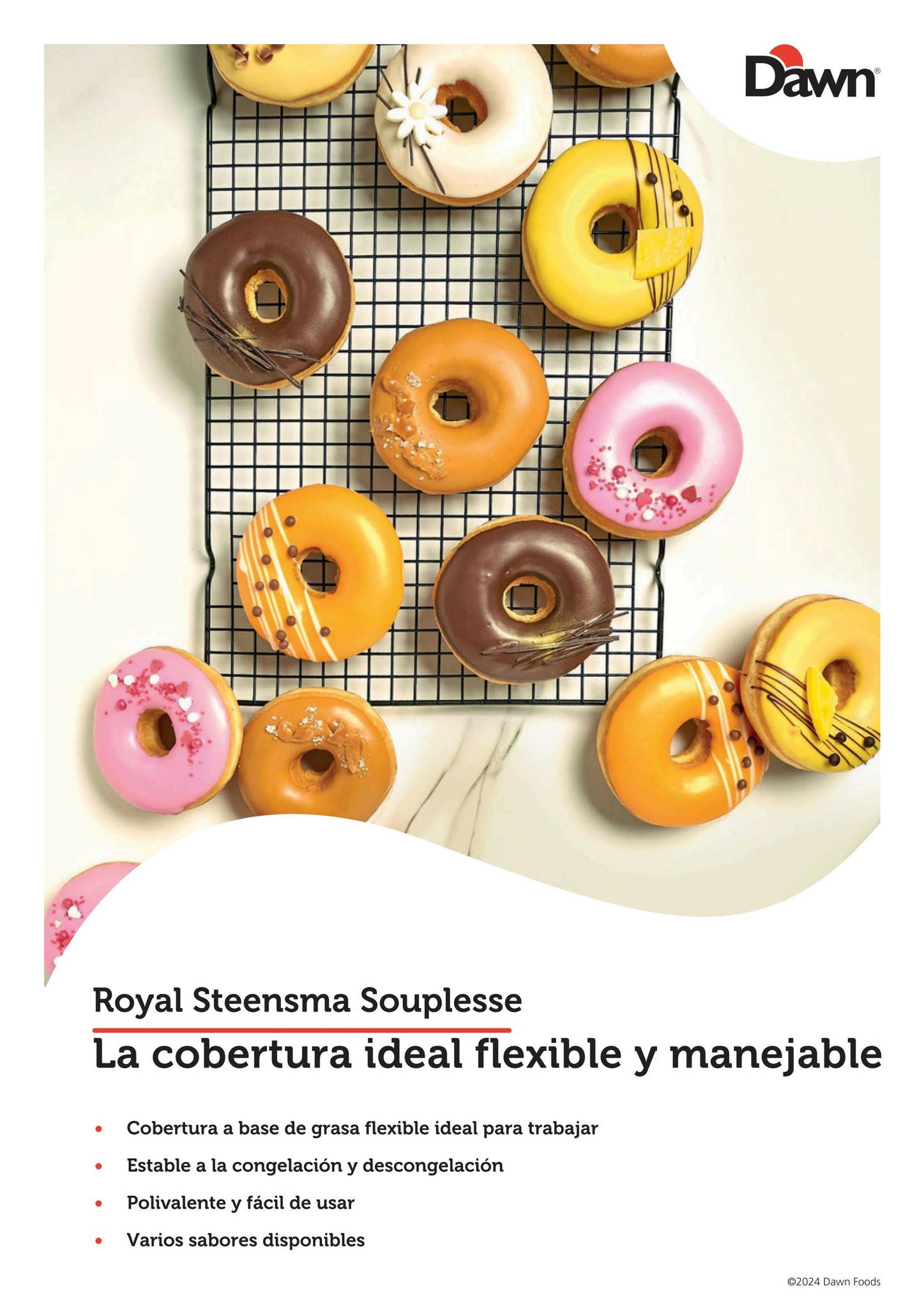 Souplesse Brochure ESP_2024 (codigos final ).pdf by dawnfoodseu - Issuu