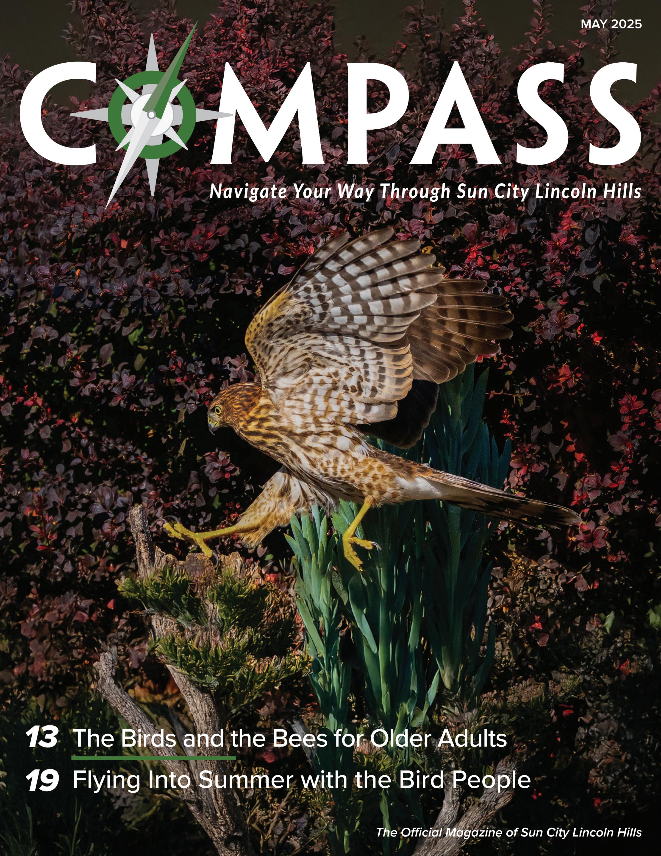 SCLH_Compass_May 25_02-LINKED by LincolnHills - Issuu