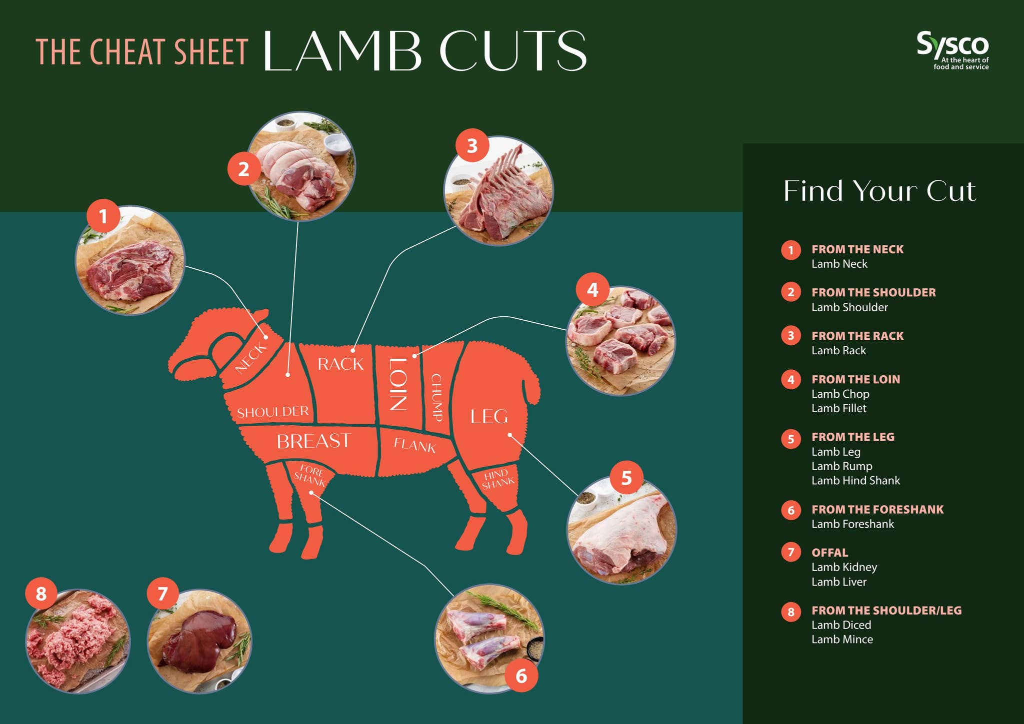 Lamb Cuts - Cheat Sheet 2025 by Sysco Ireland - Issuu