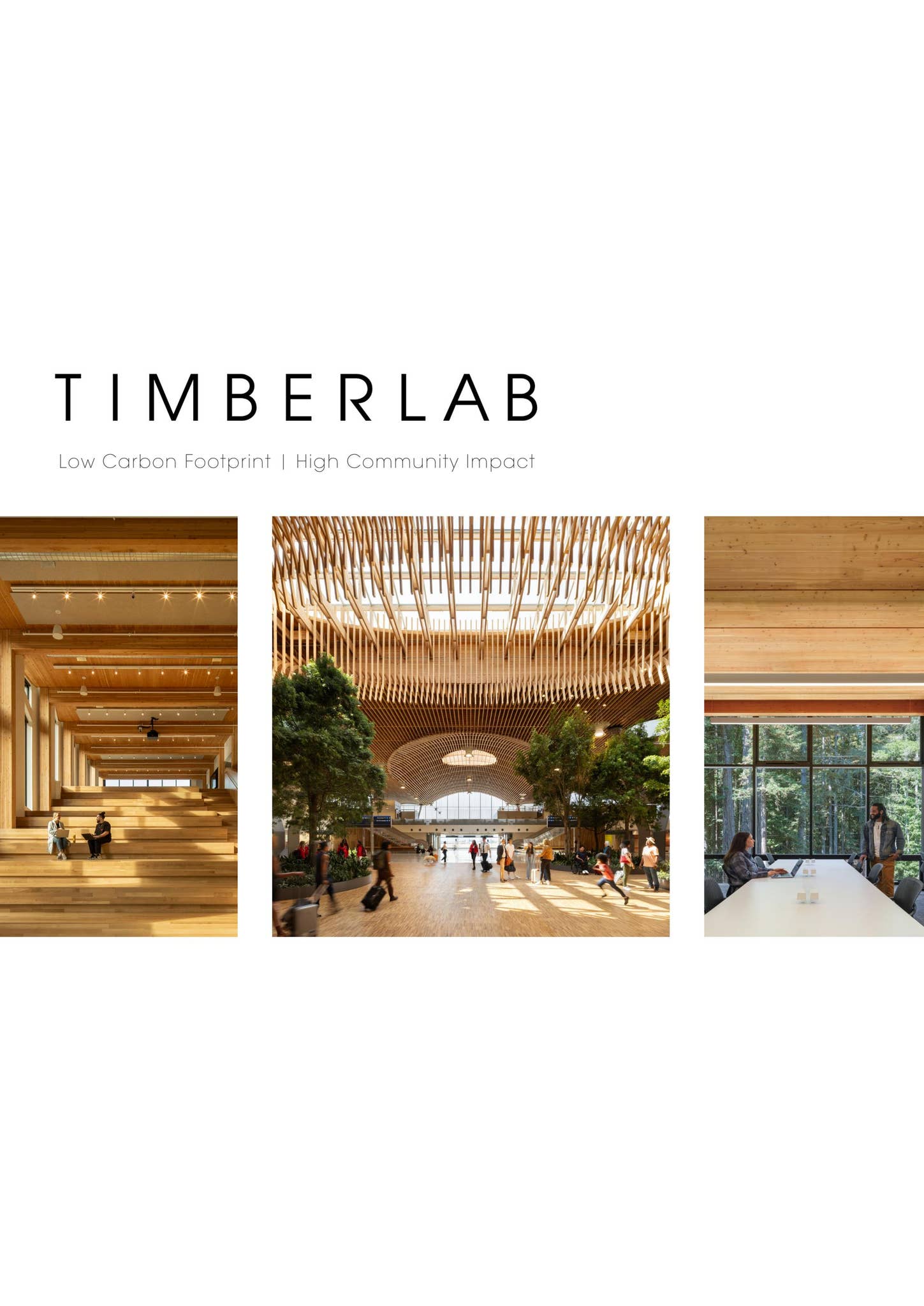 Mass Timber Careers by Timberlab - Issuu