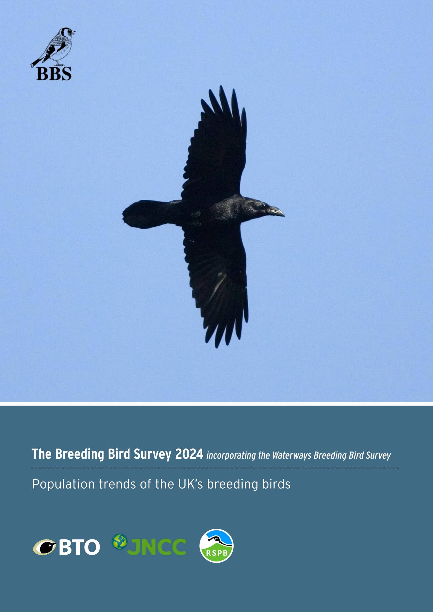 BTO/JNCC/RSPB Breeding Bird Survey Report 2024 by British Trust for ...