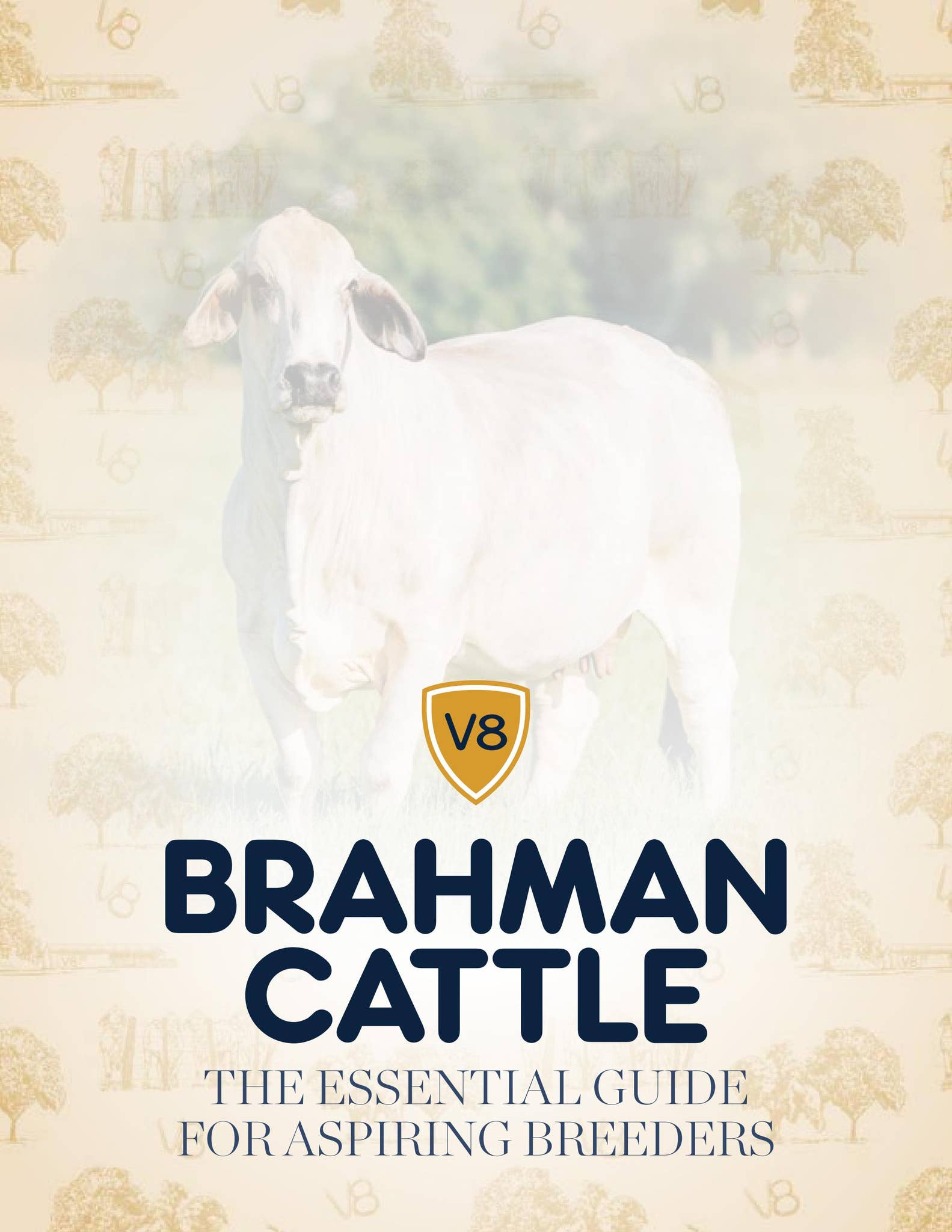 New to Brahman Cattle Guide by v8ranch - Issuu