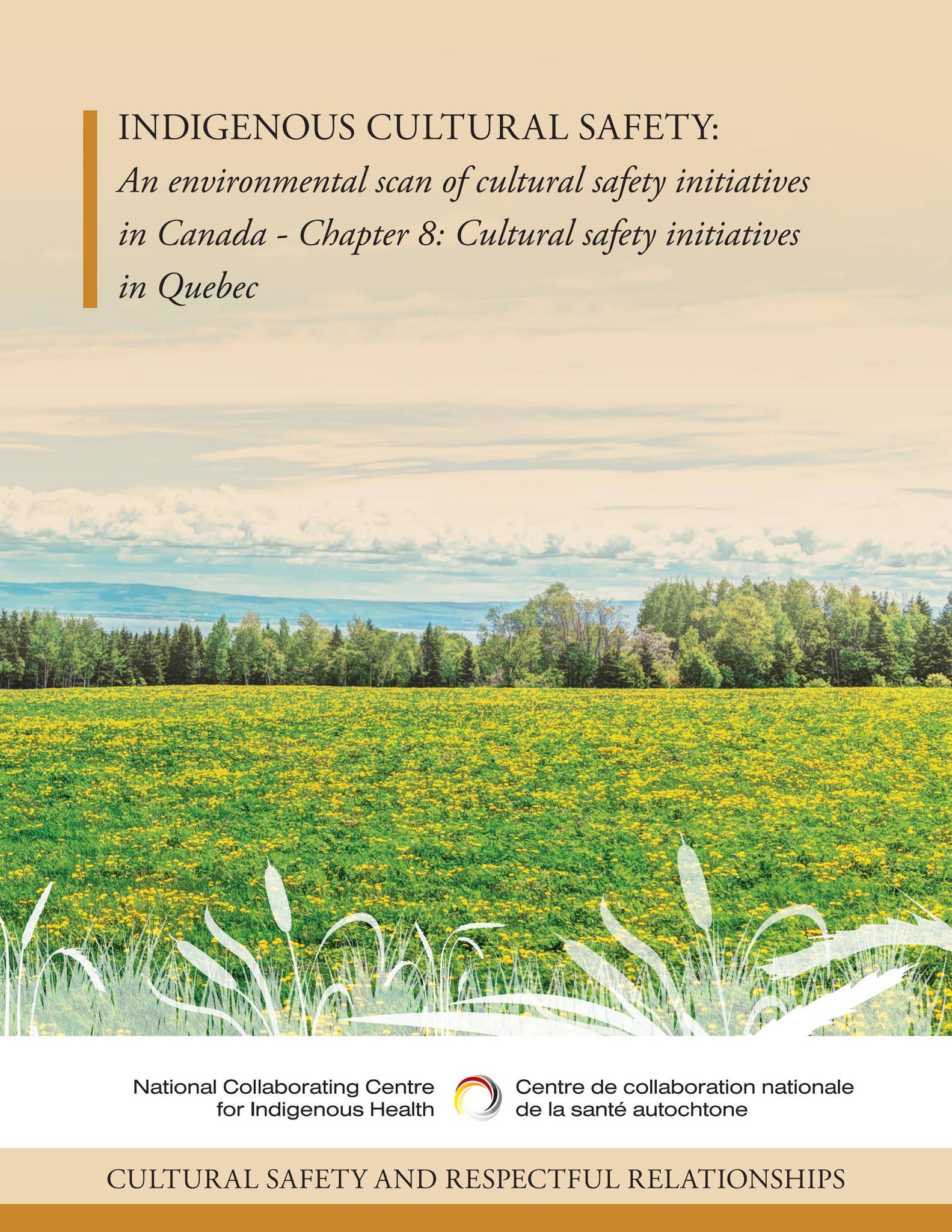 Indigenous cultural safety: An environmental scan of cultural safety ...