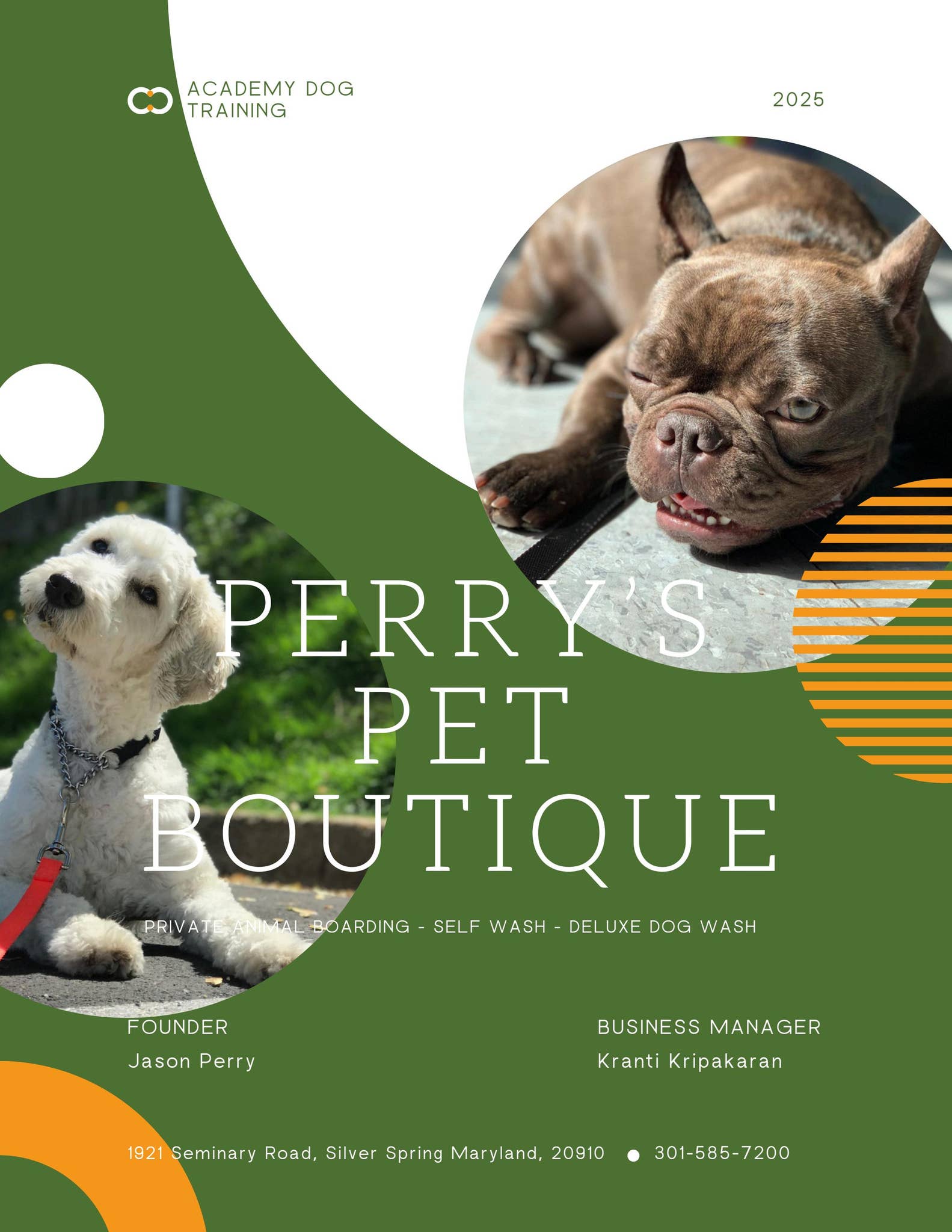 Perrys Pet Boutique 2025 by Academy Dog Training By Haywood - Issuu