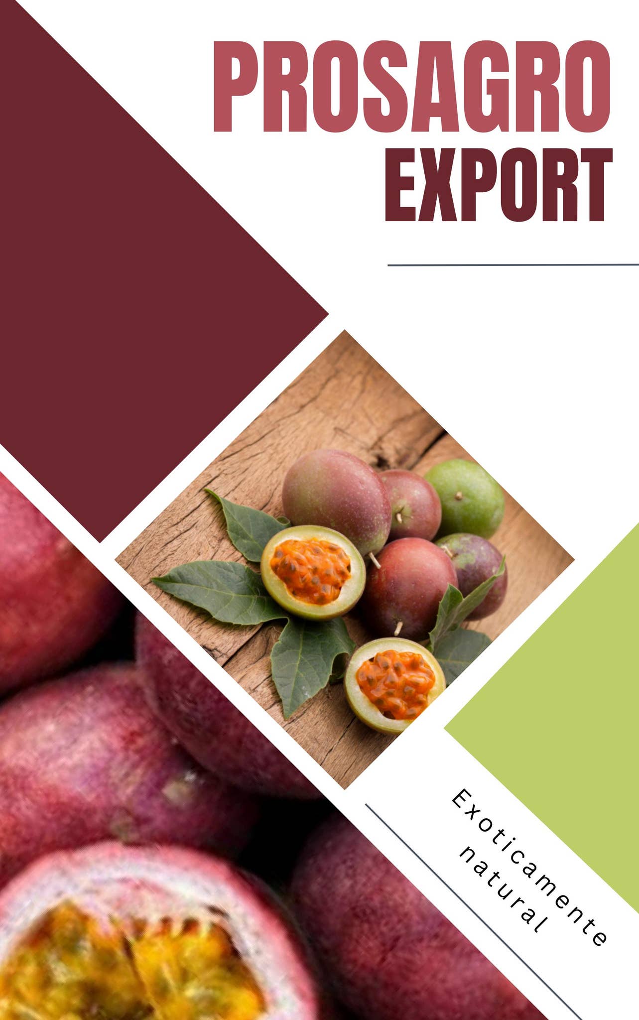 PROSAGRO EXPORT by fer.quintero - Issuu