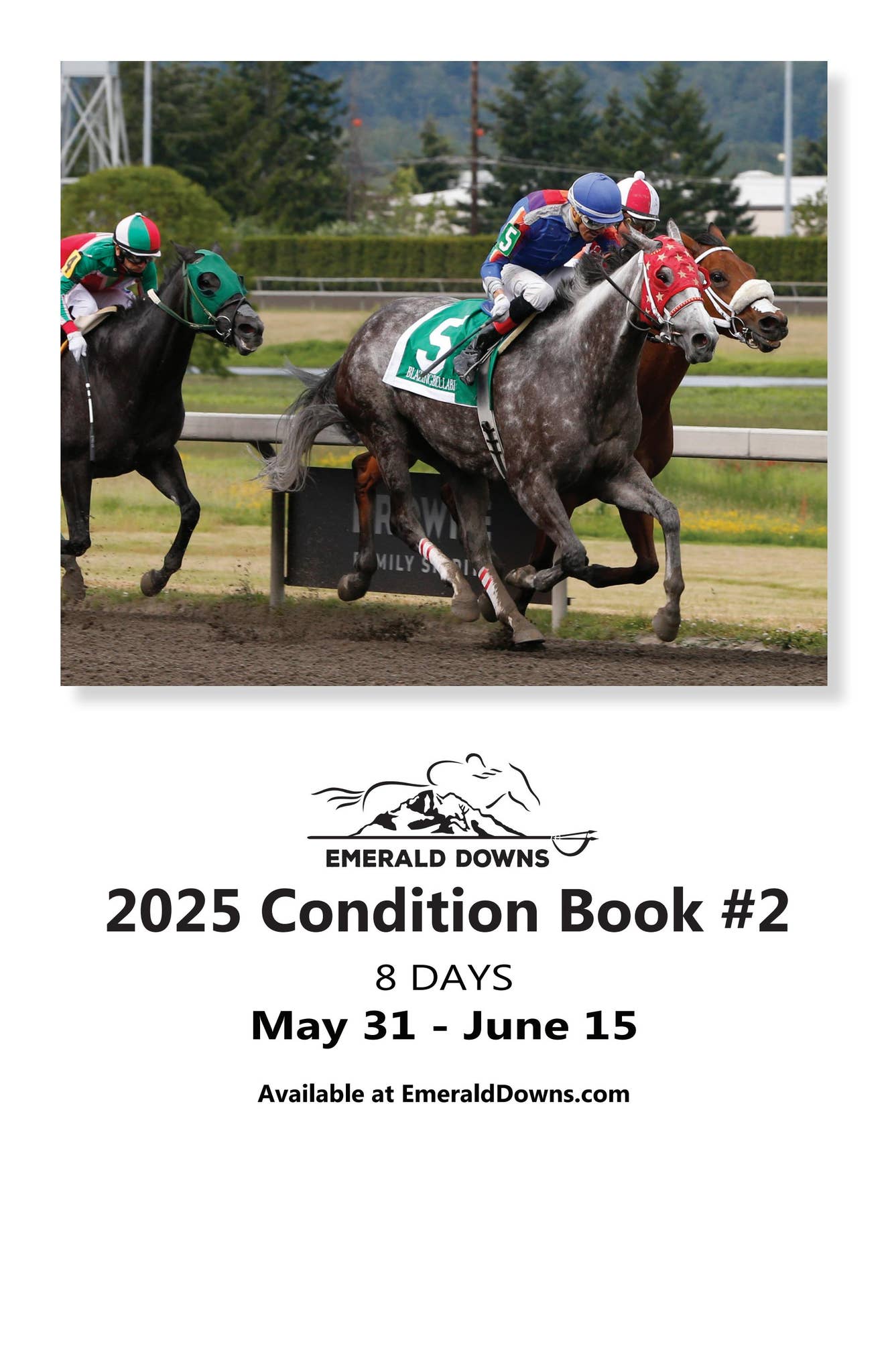 CB2_Condition Book 2025 by racingstatsandinfo.com - Issuu